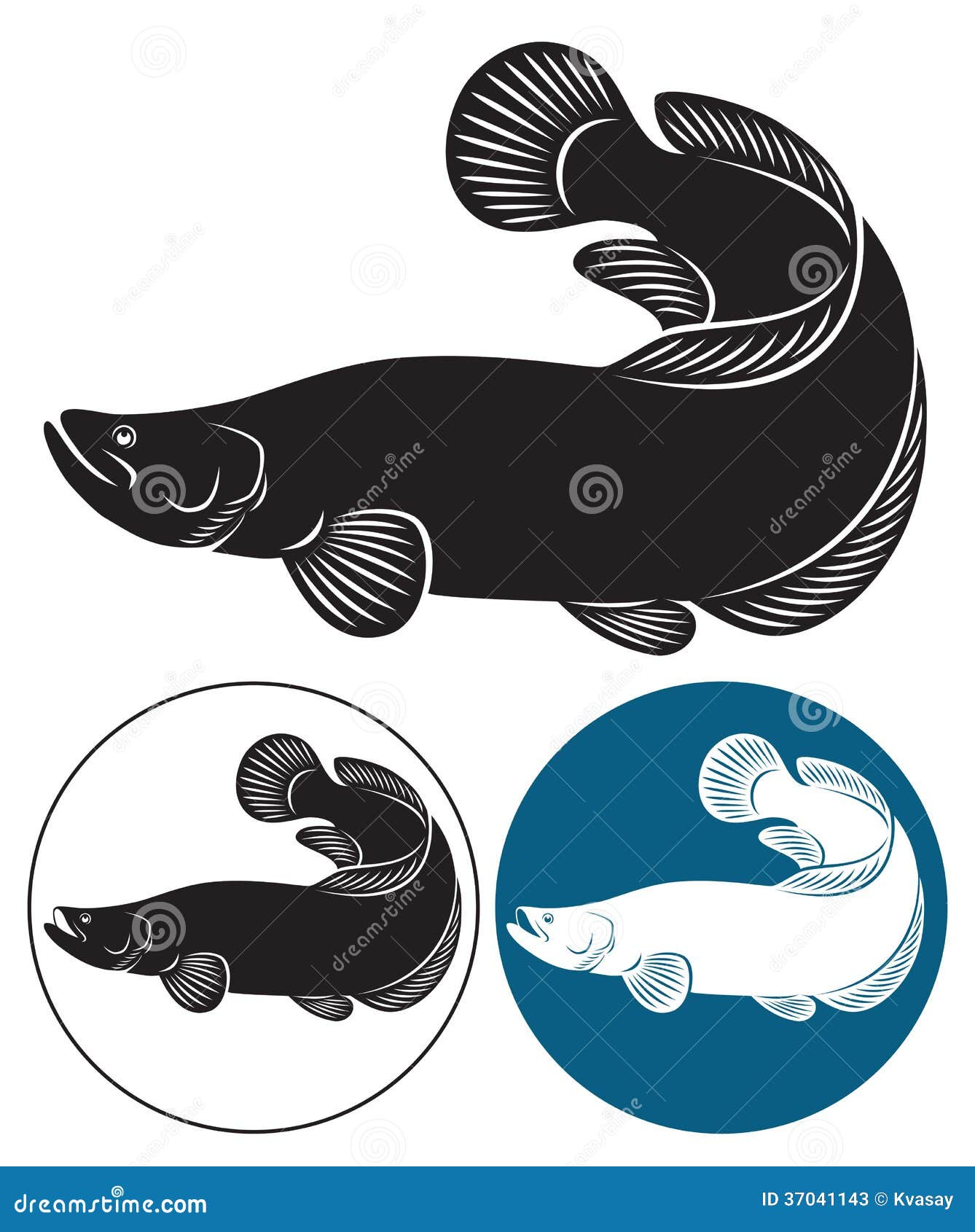 Arapaima stock vector. Illustration of barramundi, exotic - 37041143