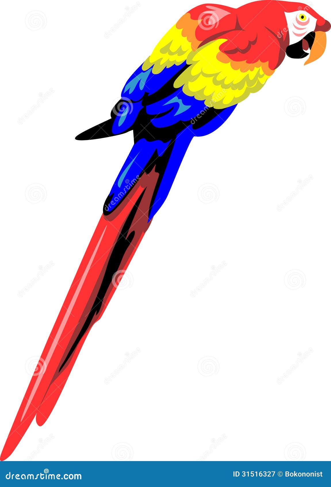 Arara ilustração do vetor. Ilustração de chuva, vermelho - 31516327