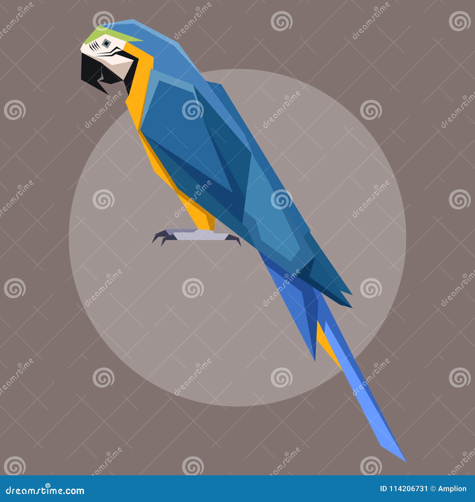 Arara Azul-e-amarela Poligonal Lisa Ilustração do Vetor - Ilustração de ...