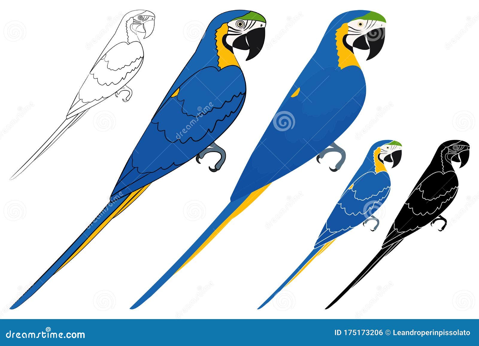 Arara Cartoons, Illustrations & Vector Stock Images - 224 Pictures to ...