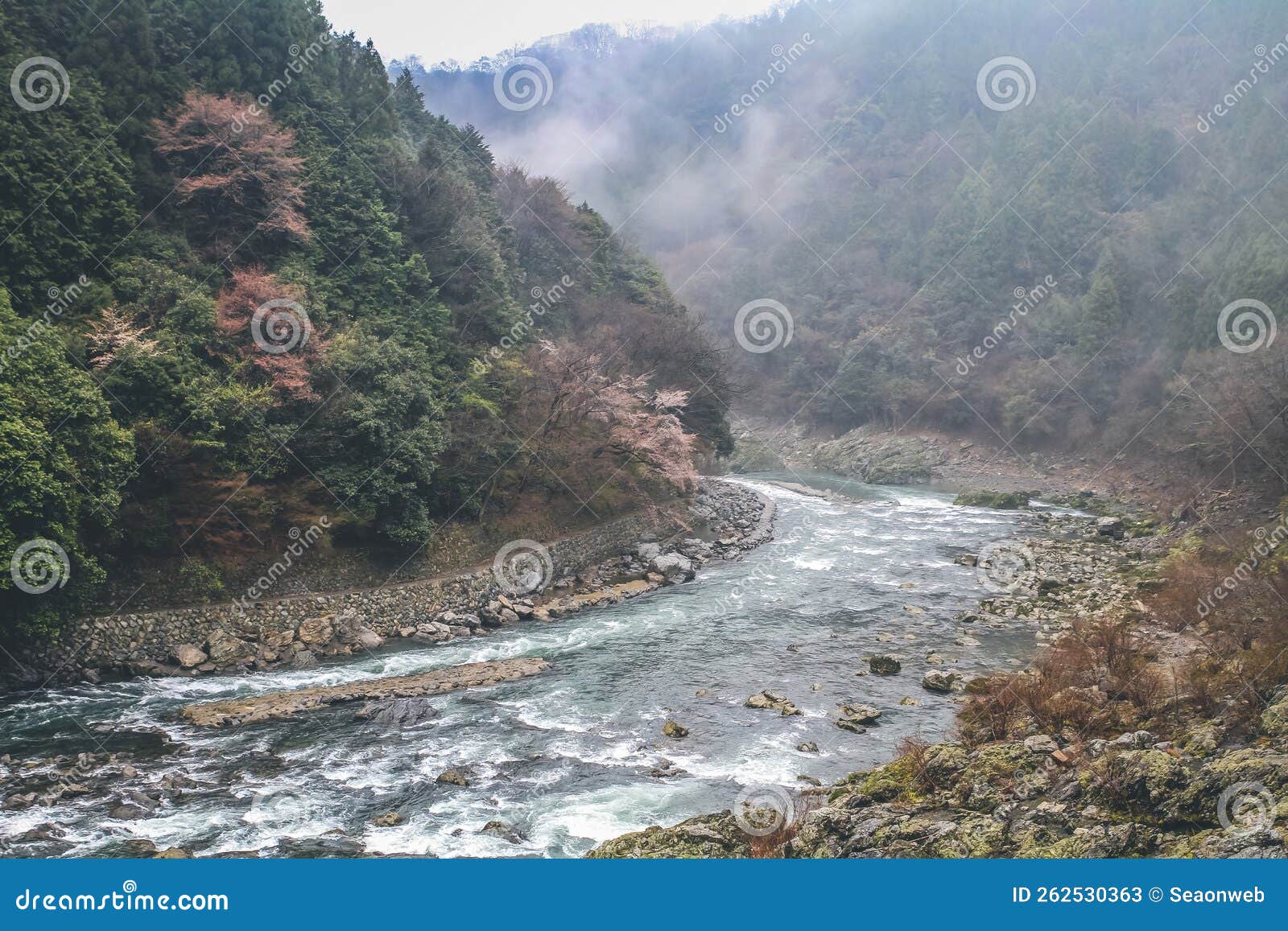 Arashiyama, Japan on the Katsura River, Japan Stock Image - Image of ...