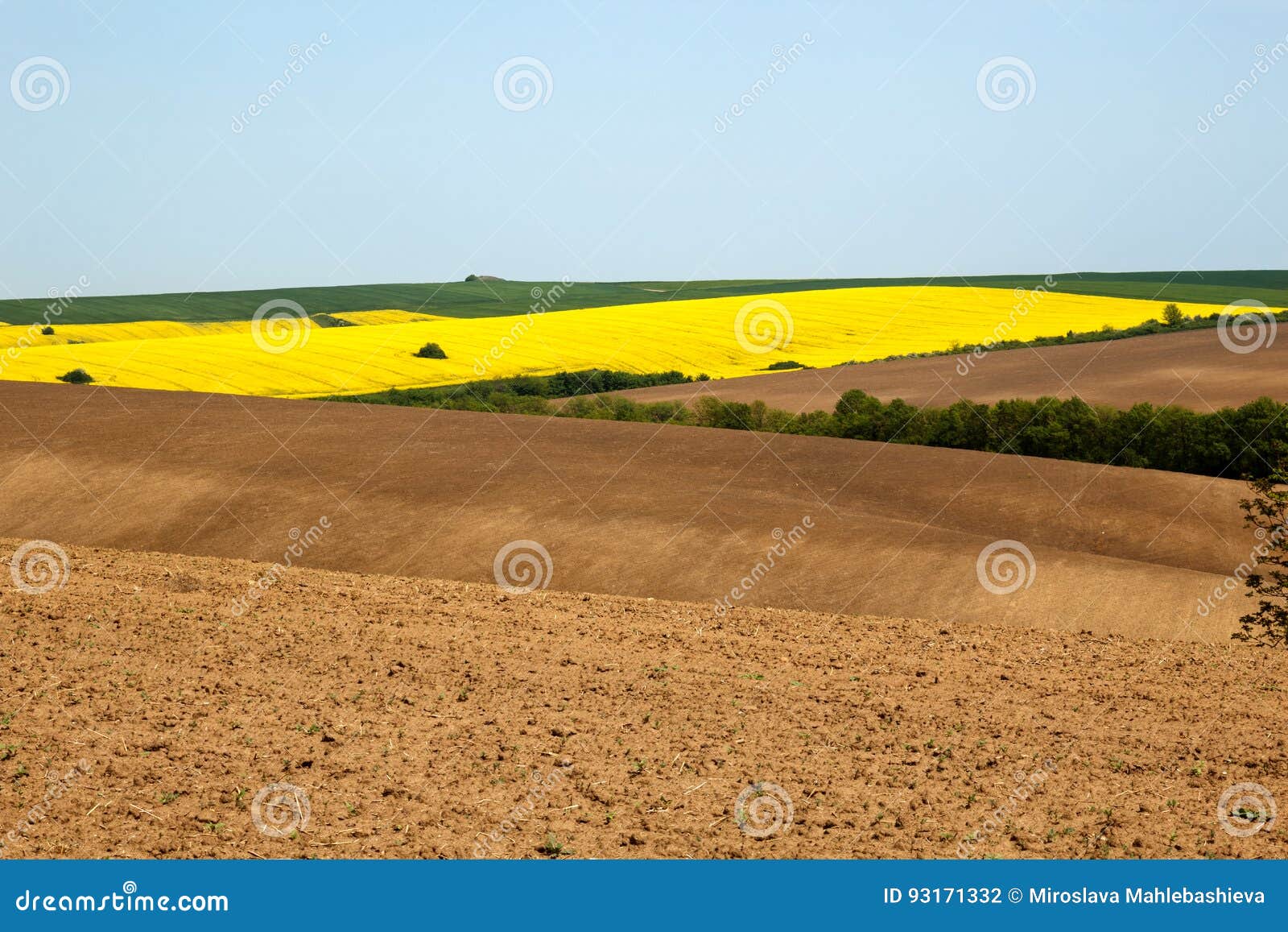 Arato Su E Campi Coltivati Con Differenti Raccolti Fotografia Stock ...