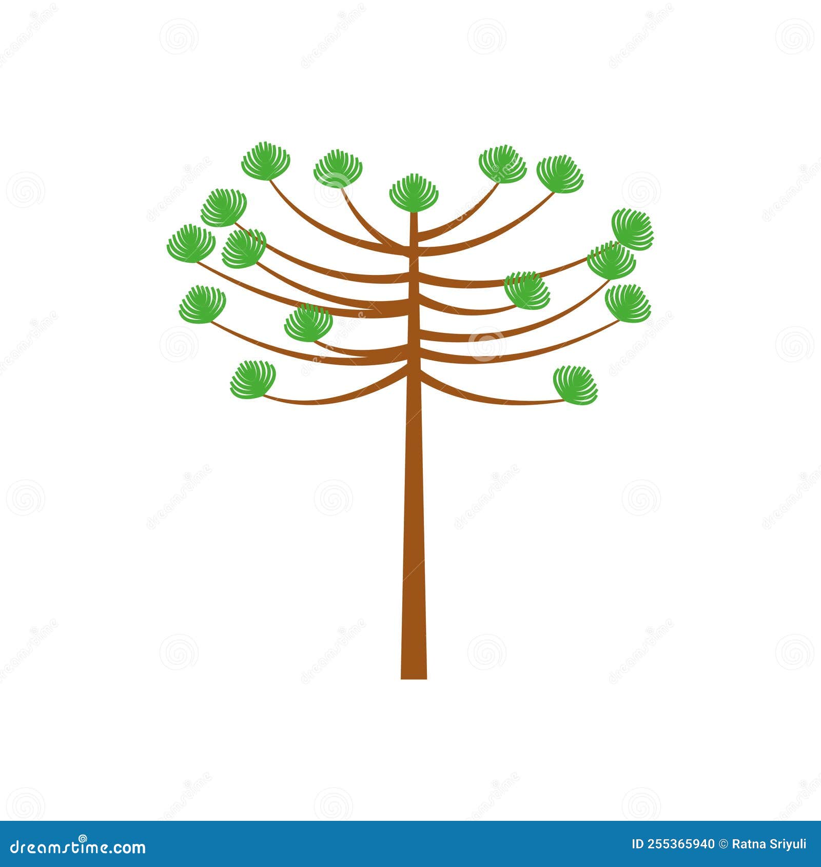 Araucaria Tree Design Vector Flat Isolated On White Background ...