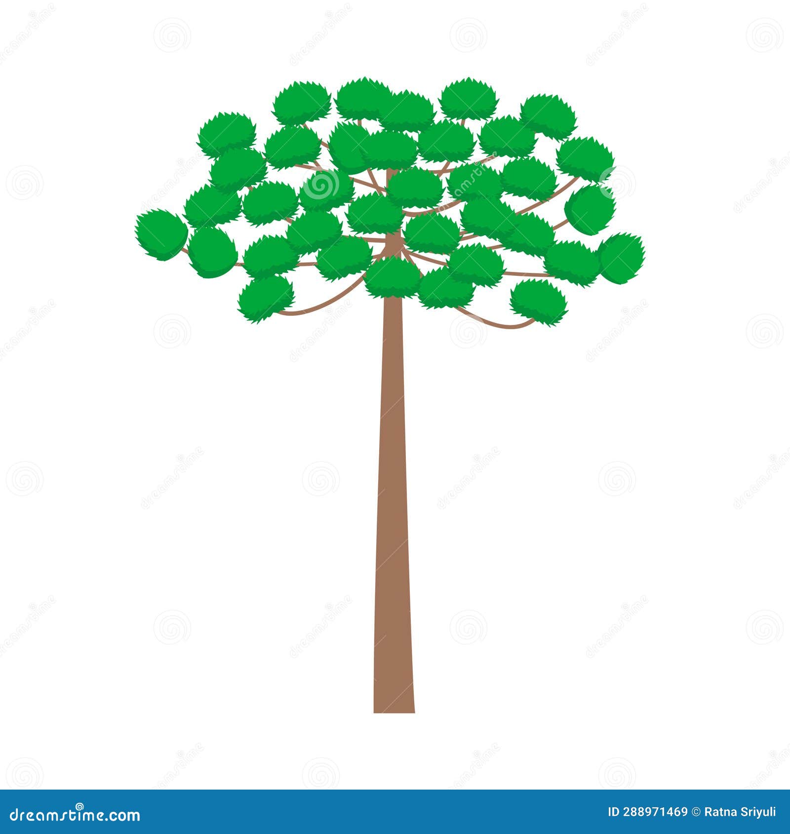 Araucaria Tree Design Vector Flat Isolated on White Background Stock ...
