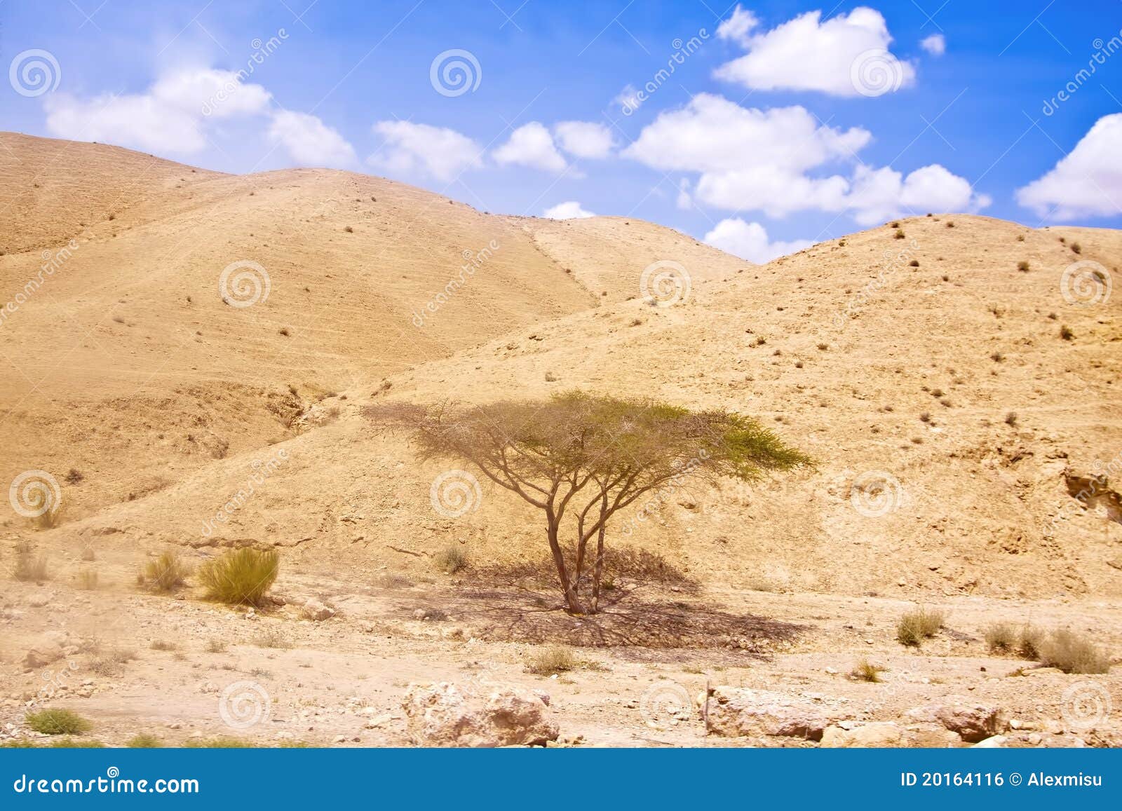 Arava desert stock photo. Image of middle, barren, outdoor - 20164116
