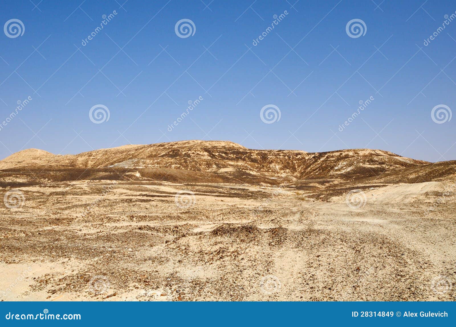 Arava Desert stock image. Image of landscape, outdoors - 28314849