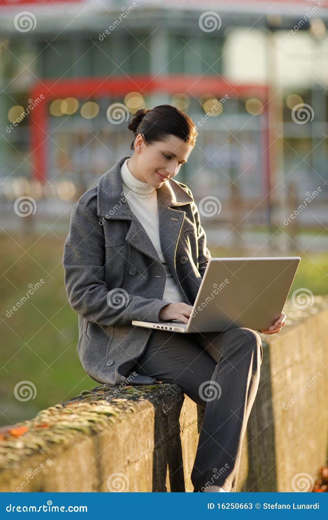 Arbeiten unterwegs stockbild. Bild von geschäftsleute - 16250663