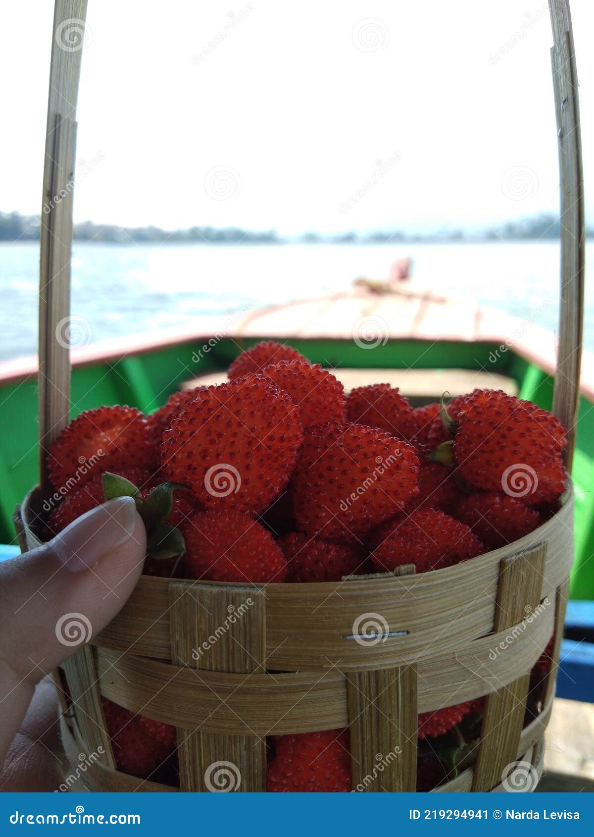 Arben on Board stock image. Image of arben, harvest - 219294941