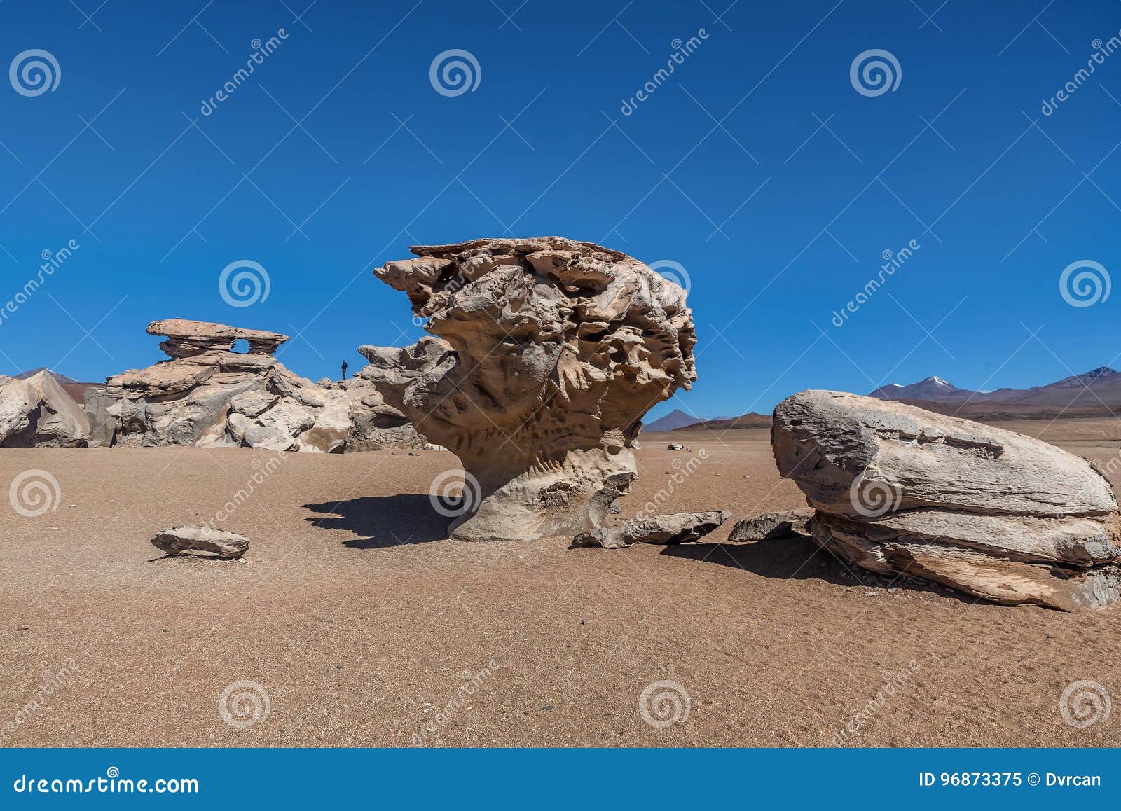 Arbol De Piedra Oder Steinbaum, Altiplano, Bolivien Stockbild - Bild ...