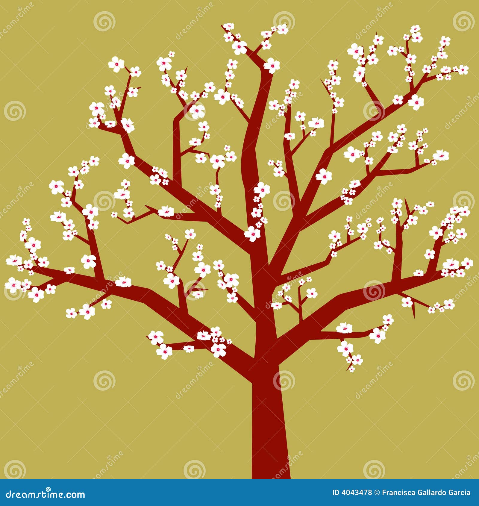 Almond Tree Drawing
