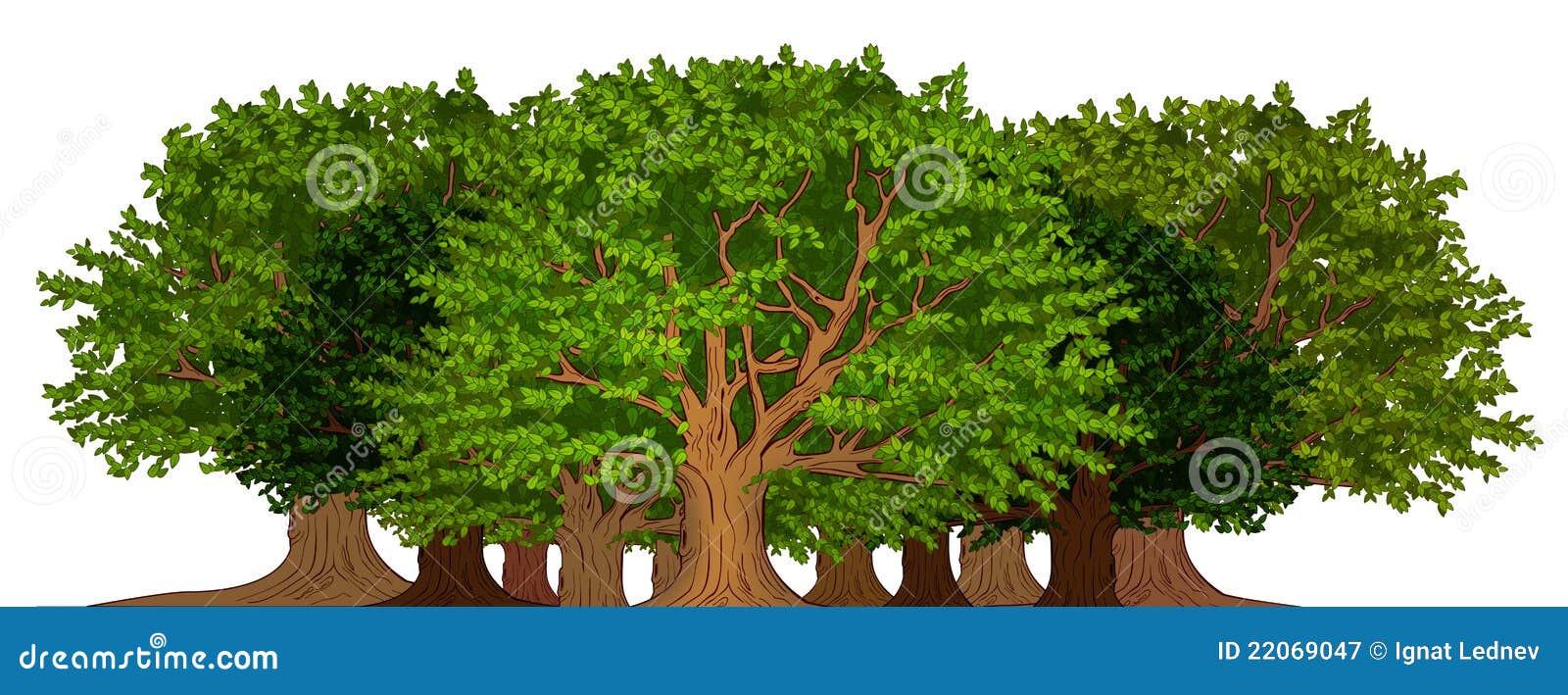 Arboleda de árboles stock de ilustración. Ilustración de historia ...