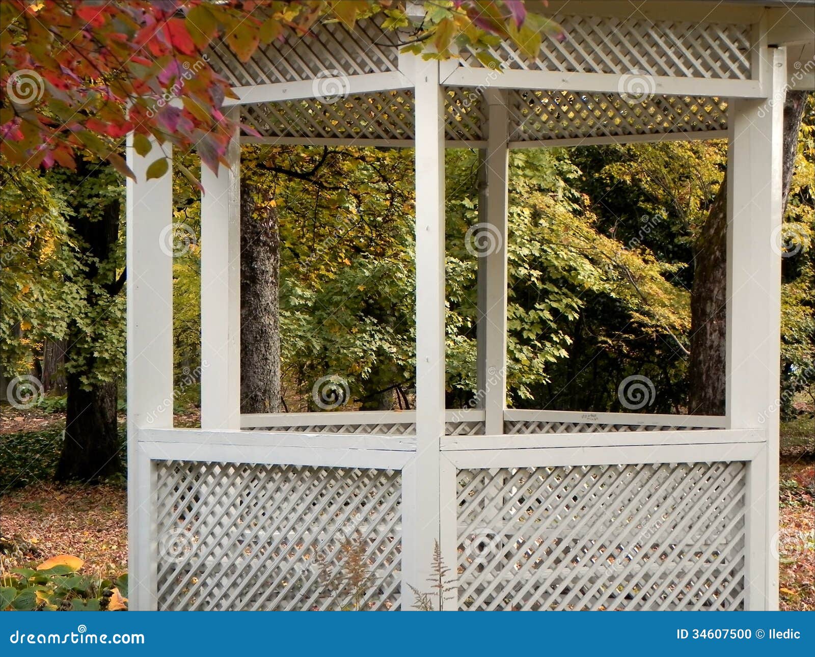 Arbor in fall stock photo. Image of arbor, leaf, decorative - 34607500