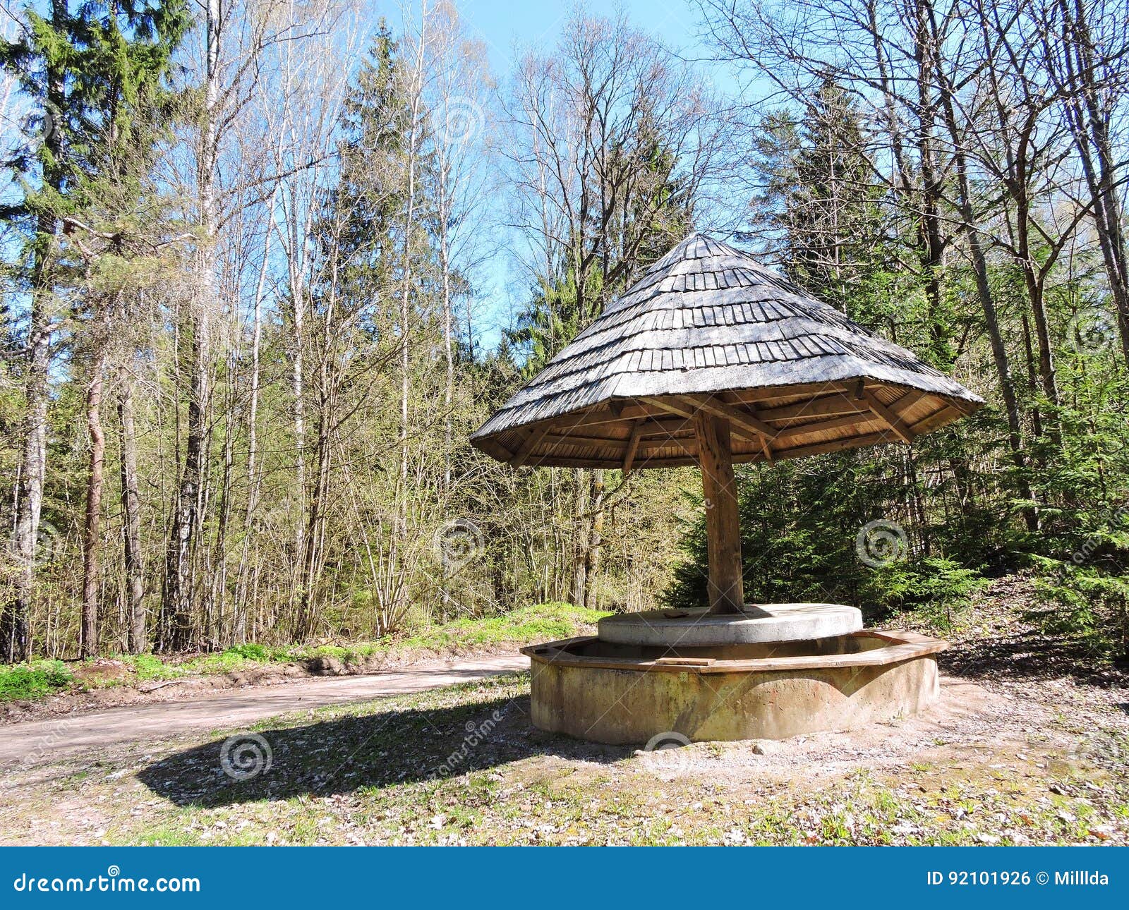 Arbor in forest, Lithuania stock photo. Image of rest - 92101926
