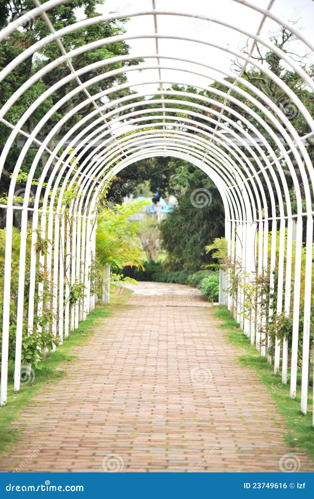 Arbor with path stock photo. Image of aisle, nature, metal - 23749616