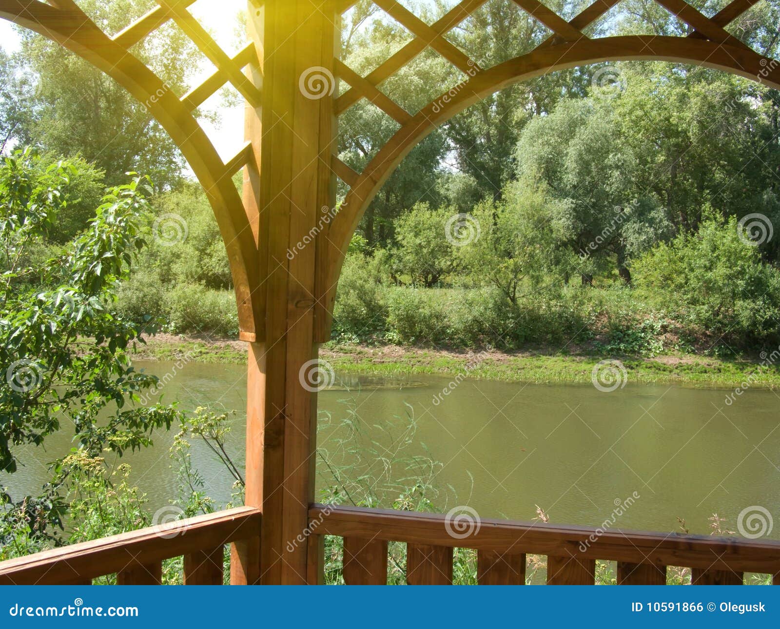 Arbor from a Tree in a Garden Stock Photo - Image of openwork ...
