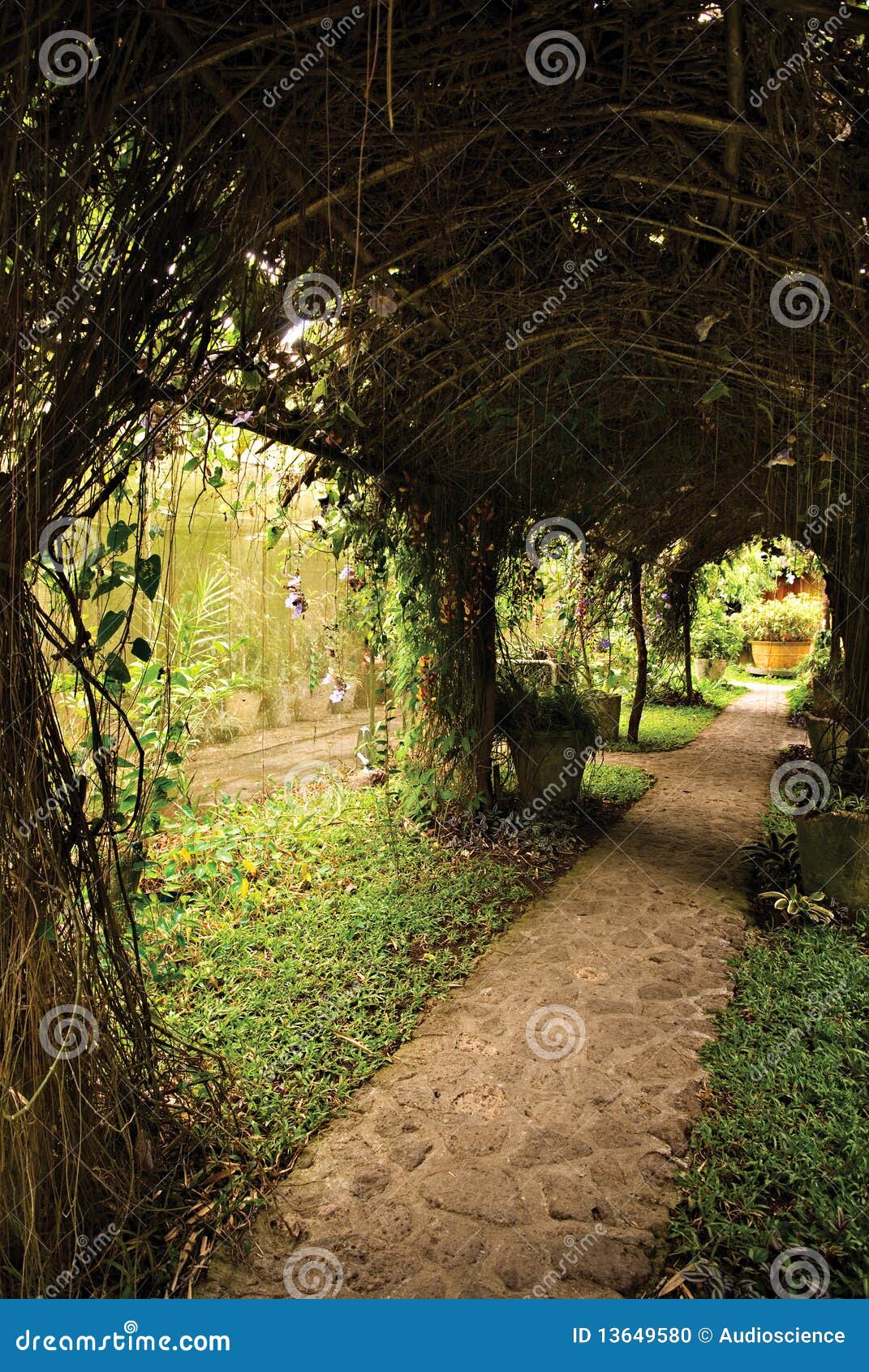 Arbor Trellis Pathway Picture. Image: 13649580
