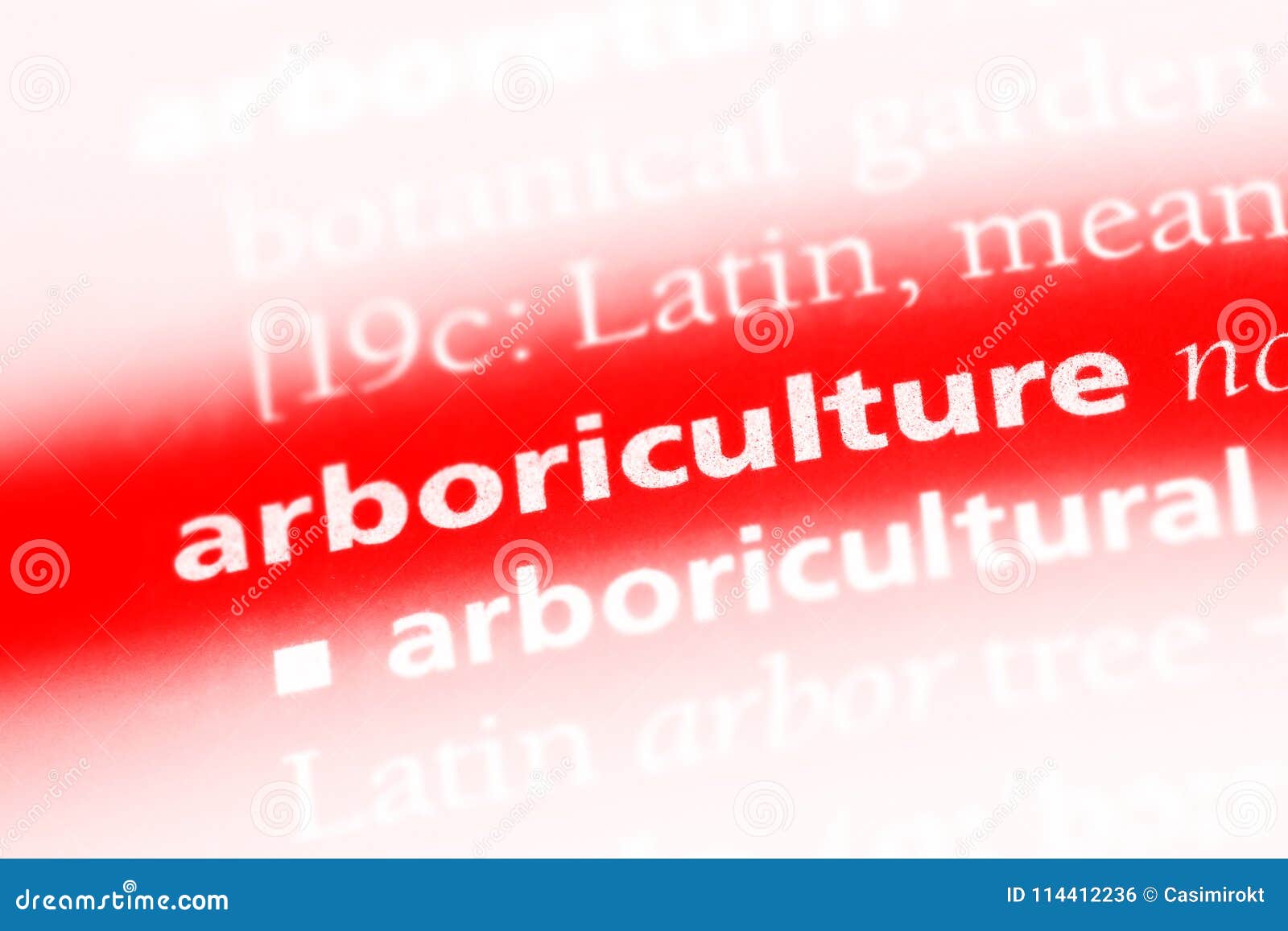 Arboriculture stock photo. Image of english, definition - 114412236