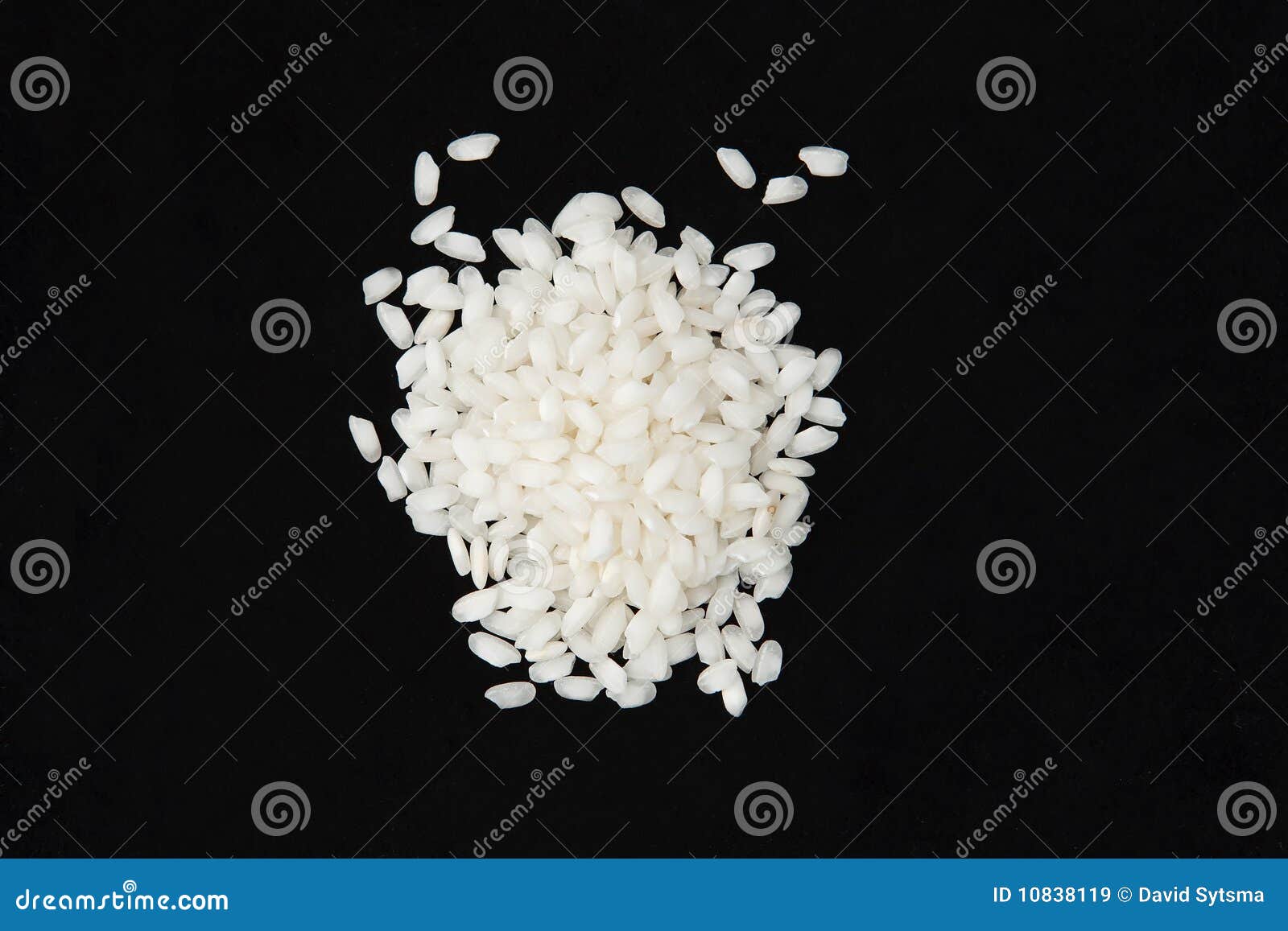 Arborio Rice Isolated on Black Stock Image - Image of style, plant ...