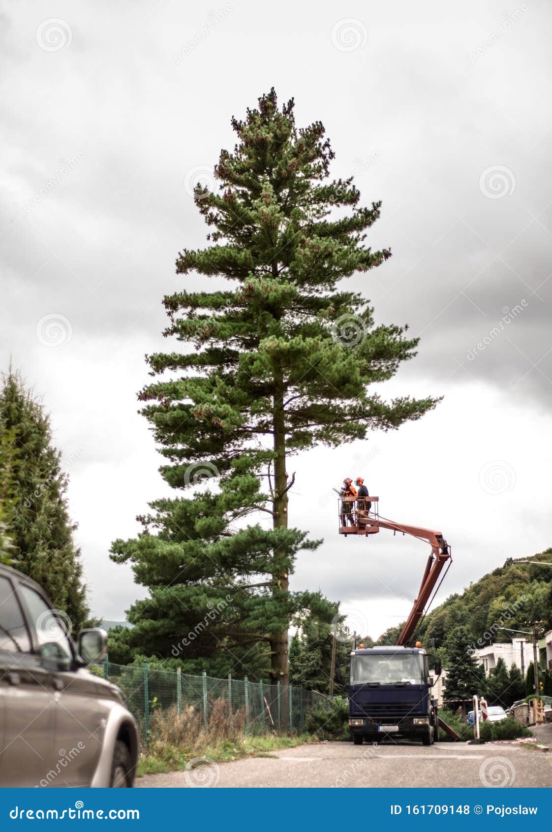 Arborist Men with Chainsaw and Lifting Platform Cutting a Tree. Stock ...