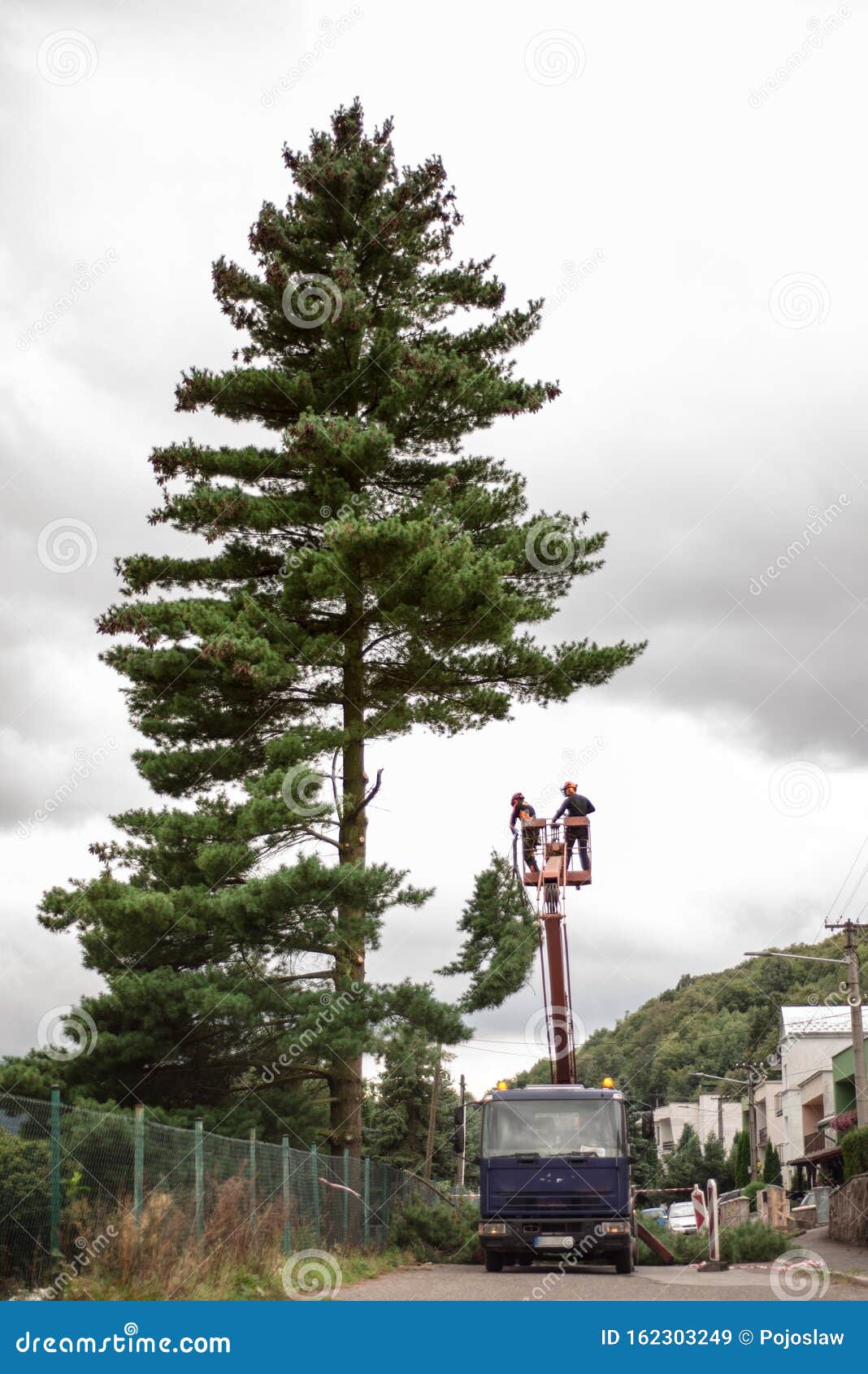 Arborist Men with Chainsaw and Lifting Platform Cutting a Tree. Stock ...