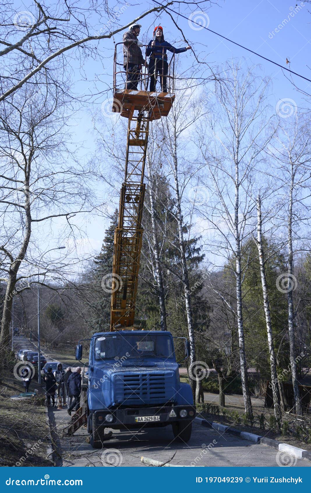 Arborists Cut Branches of a Tree with Chainsaw Using Truck-mounted Lift ...