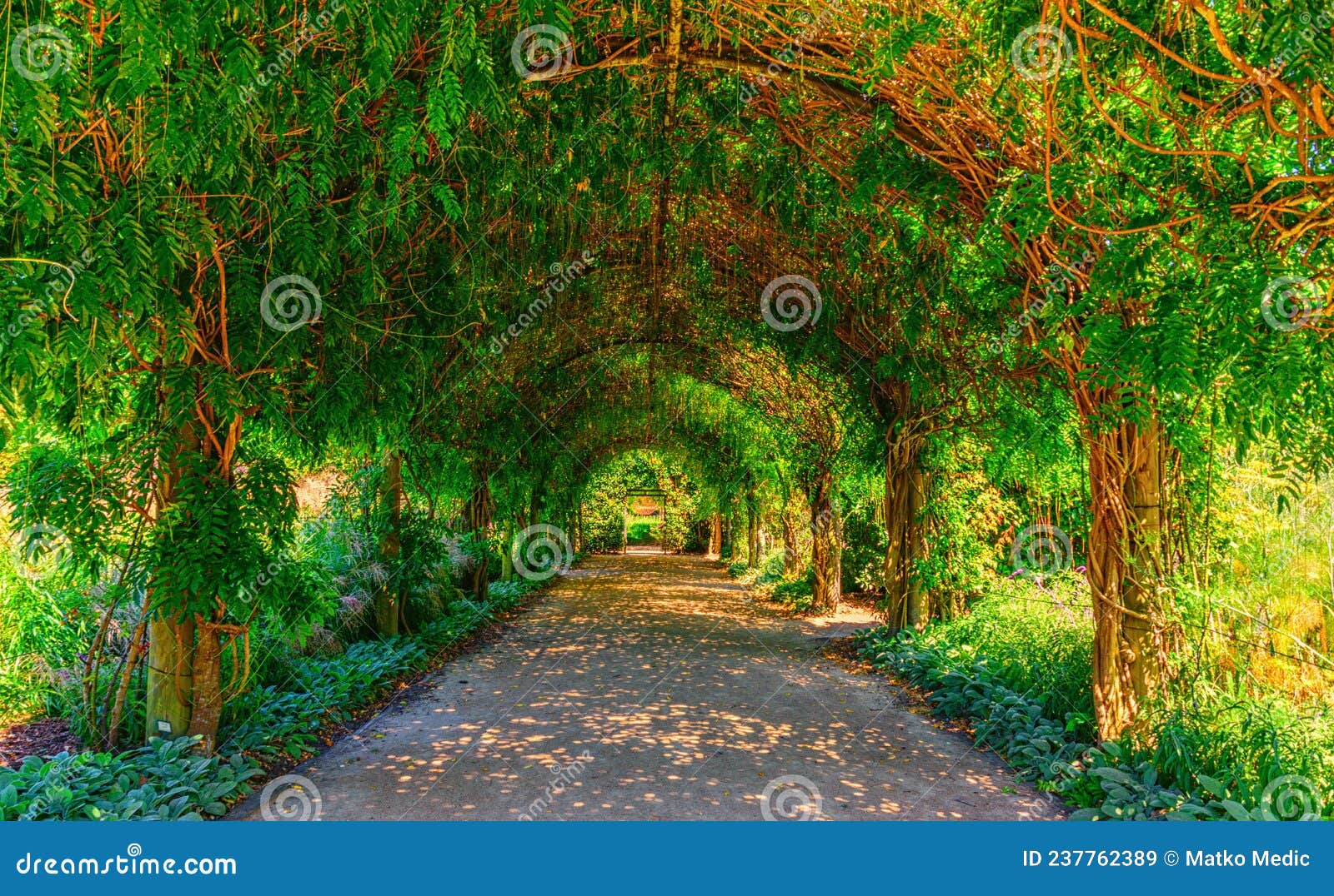 Beautiful Arbor in the Alowyn Garden, Victoria, Australia Editorial ...