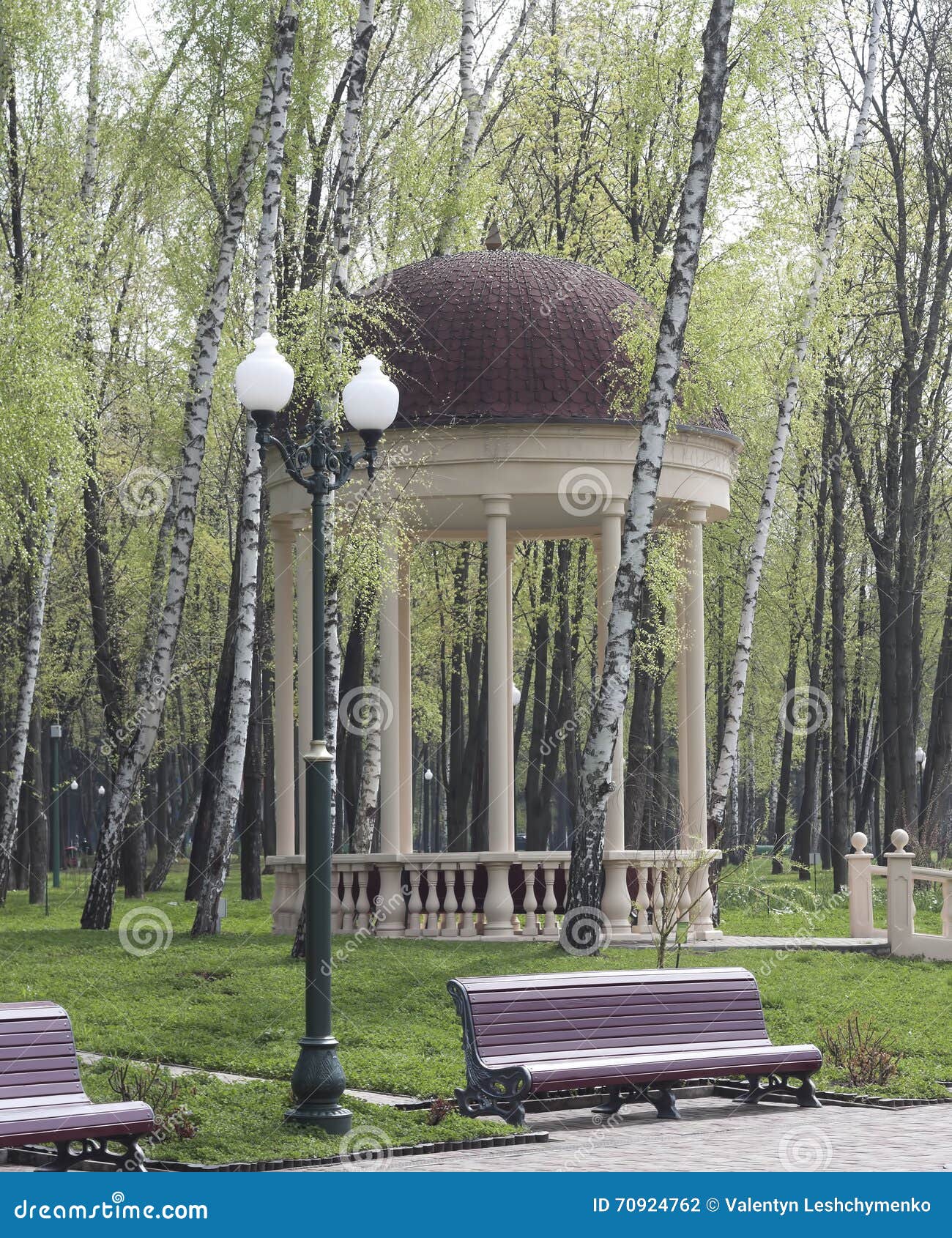 Arbour among the Birch Trees, Benches and Lanterns Stock Photo - Image ...