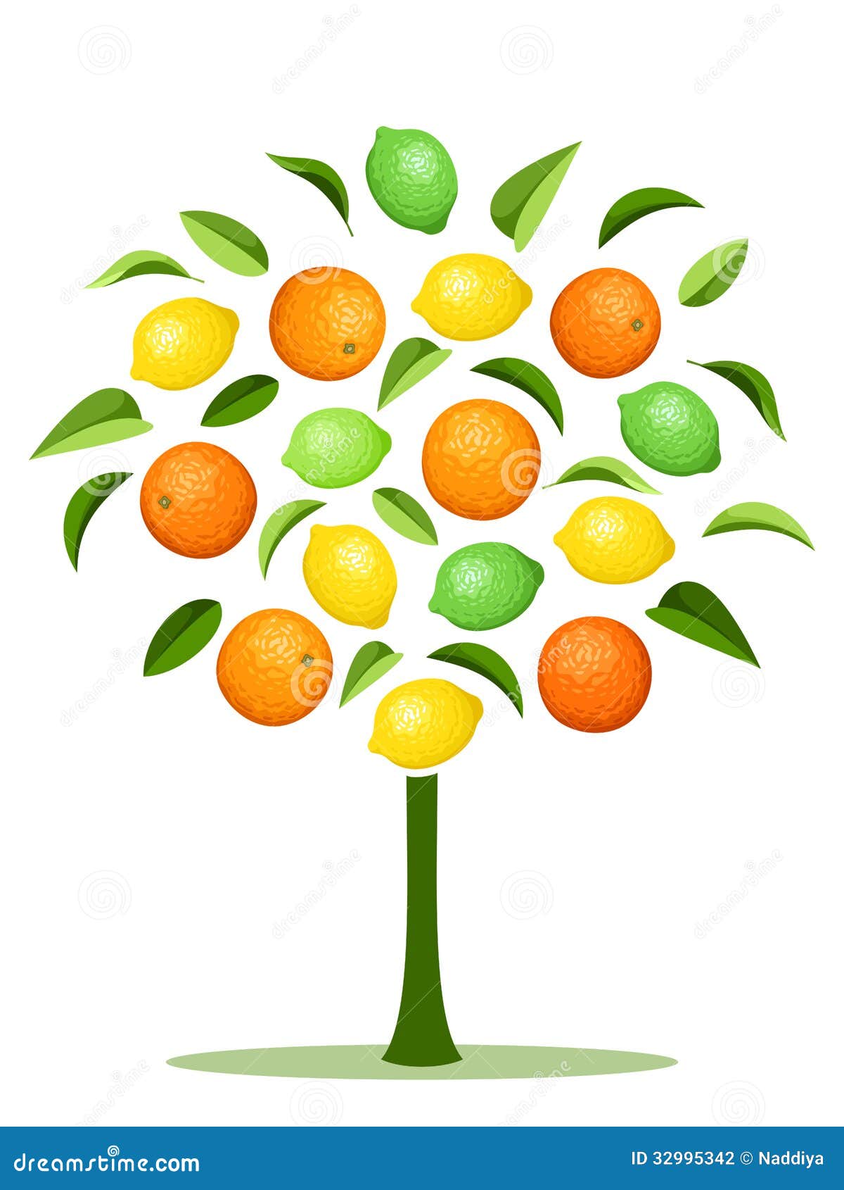 Arbre Abstrait Avec De Divers Agrumes. Illustration de Vecteur ...