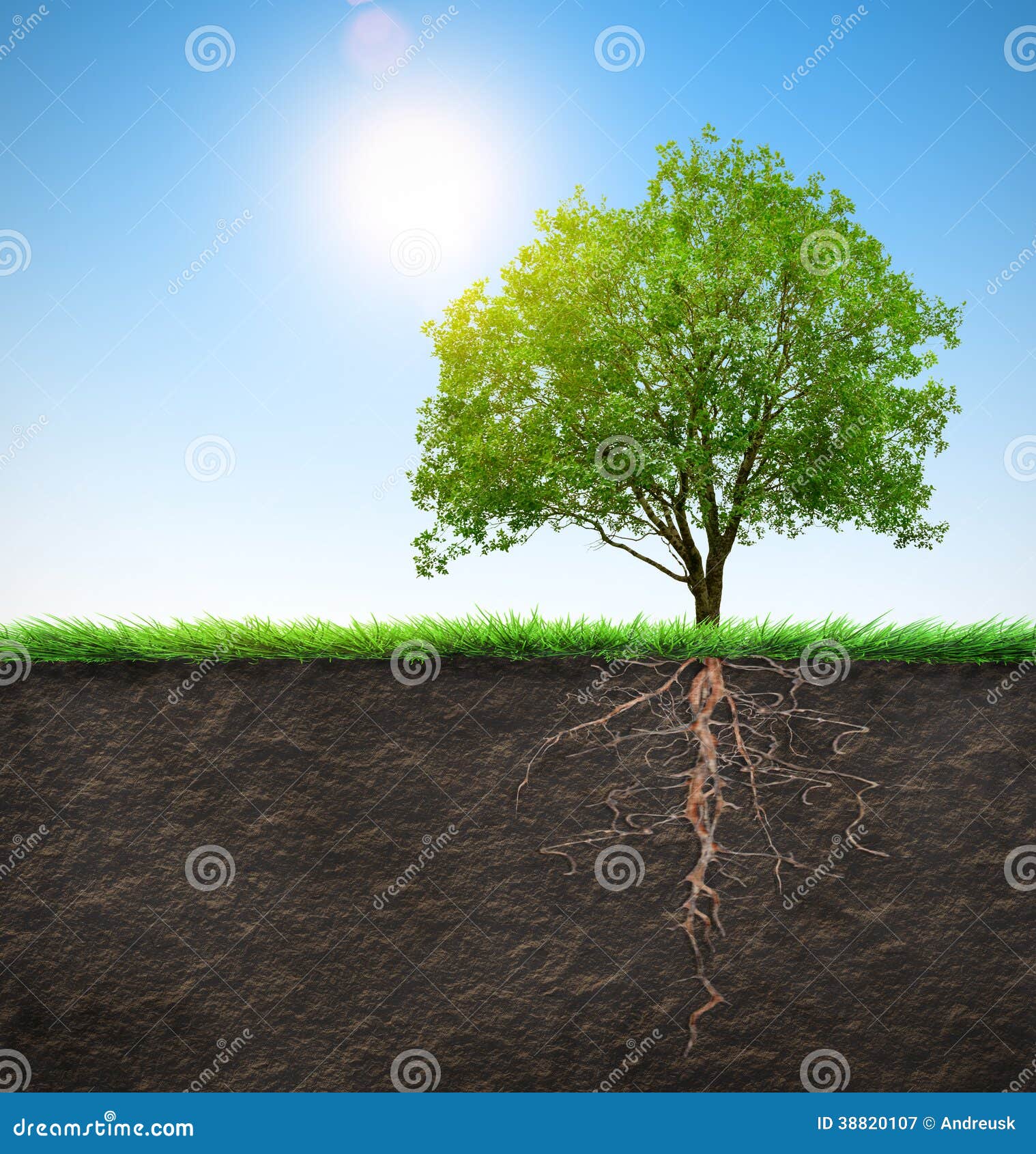 Arbre avec des racines image stock. Image du lames, fonds - 38820107