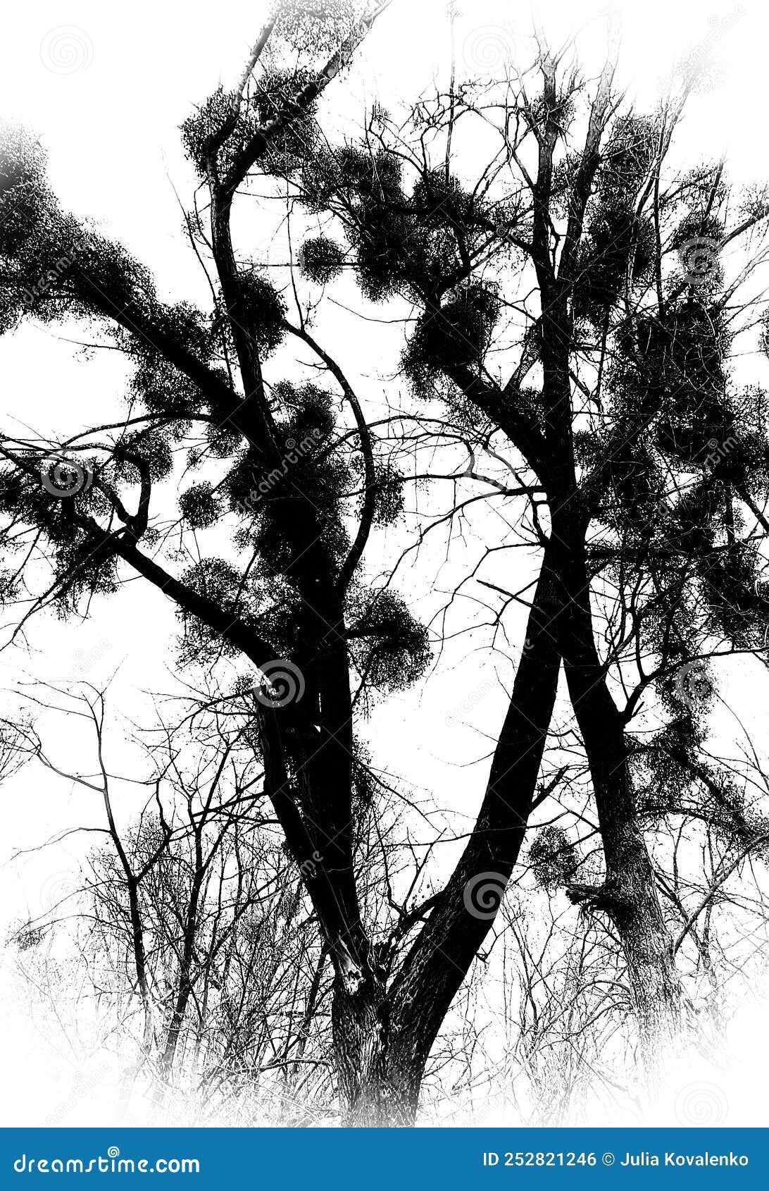 Arbre d'art noir et blanc photo stock. Image du dessin - 252821246
