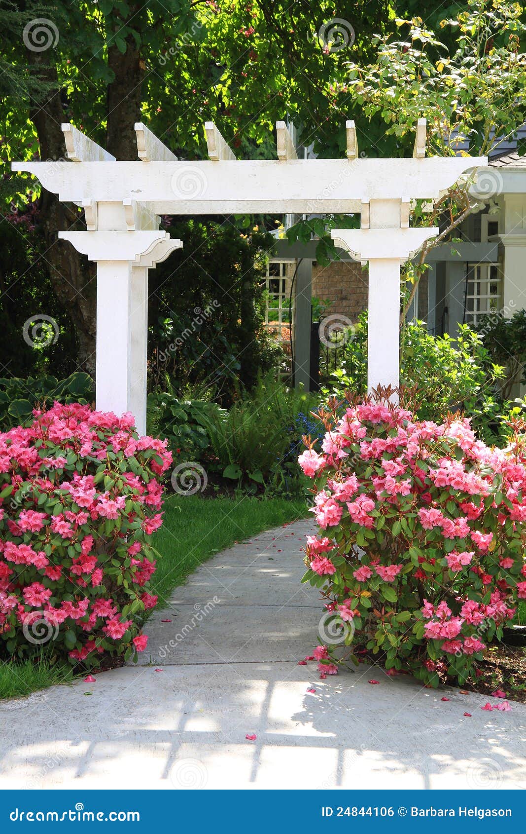 Arbre De Jardin Et Fleurs Roses. Photo stock - Image du blanc, entrée ...