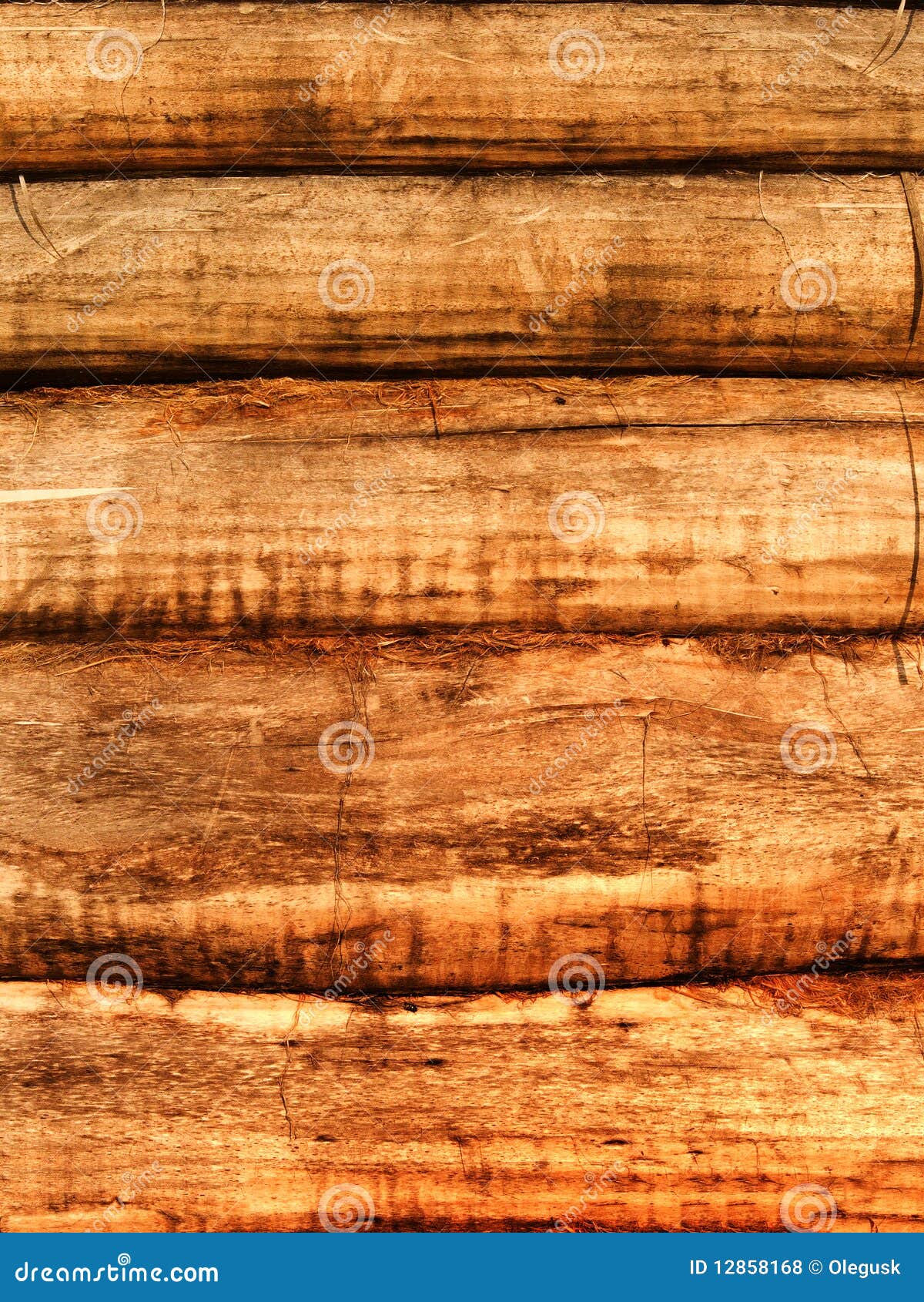 Arbre De Logarithme Naturel De Maison De Mur Photo stock - Image du deciduous, fond: 12858168