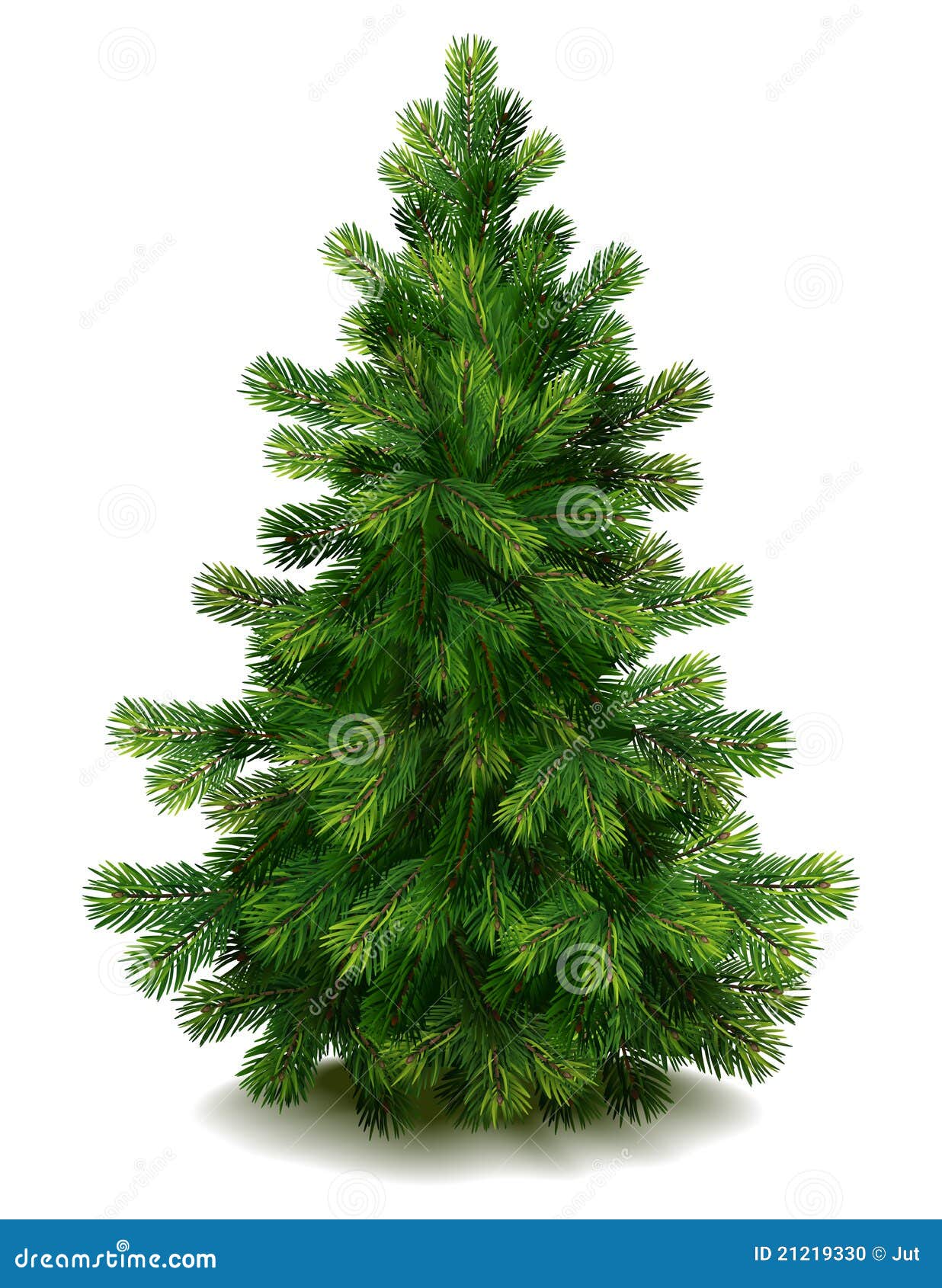 Arbre de pin illustration de vecteur. Illustration of décoration - 21219330