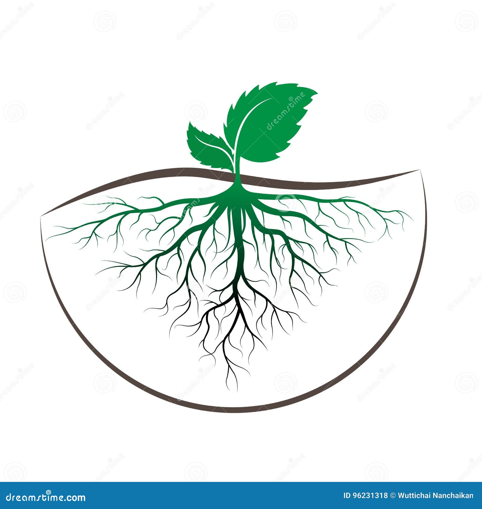 Arbre De Pousse Avec La Racine Illustration de Vecteur - Illustration ...