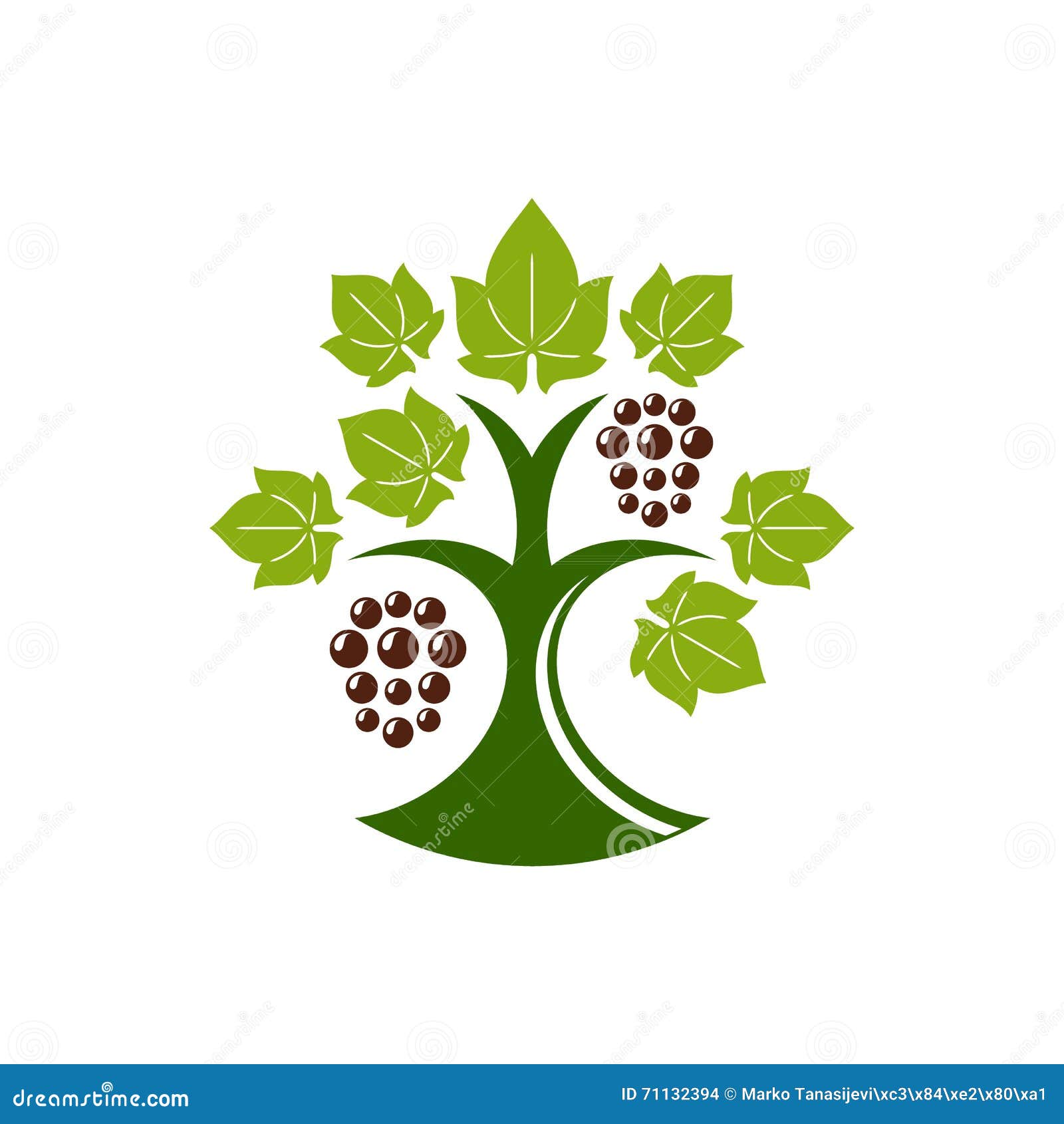 Arbre De Raisin En Couleurs Illustration de Vecteur - Illustration du ...