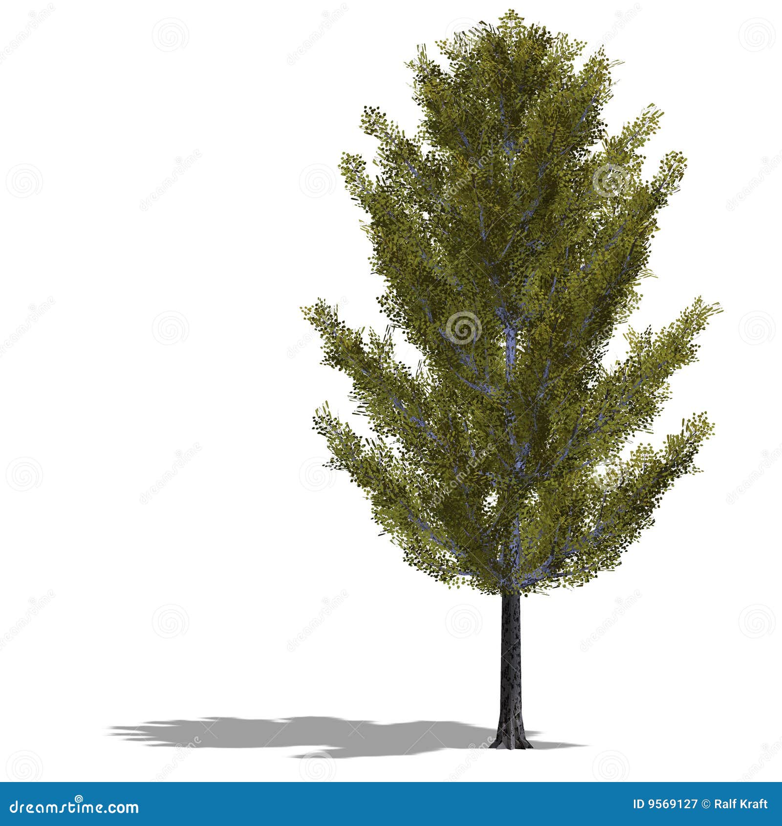 Arbre de tremble illustration stock. Illustration du ordinateur - 9569127