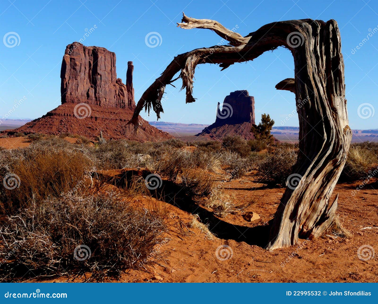 Arbre rocailleux photo stock. Image du géologie, pierre - 22995532