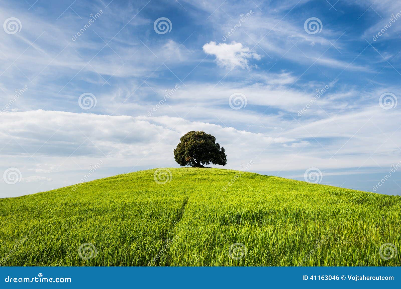 Arbre Sur Le Dessus De La Petite Colline Verte Photo stock - Image du ...