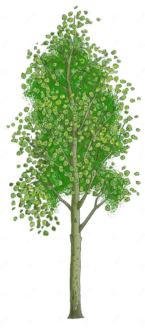 Arbre un tremble illustration stock. Illustration du fendoir - 4897669