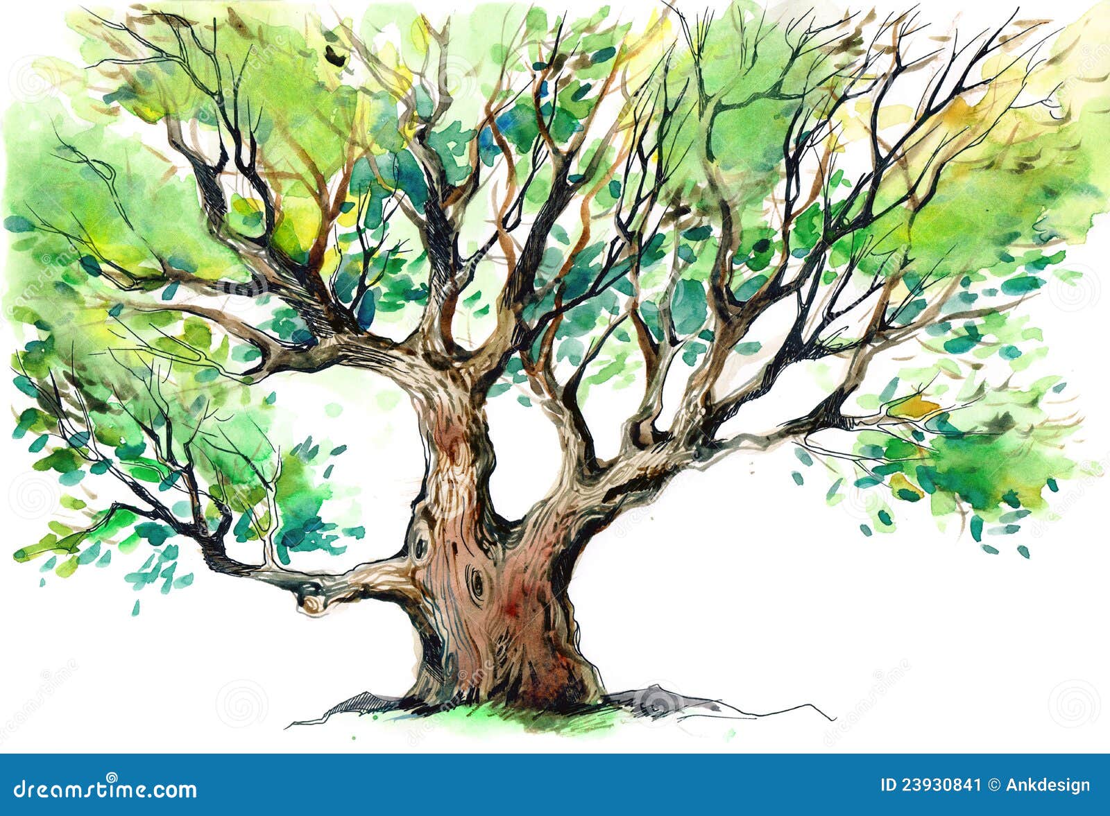 Arbre vert illustration stock. Illustration du noix, illustration ...