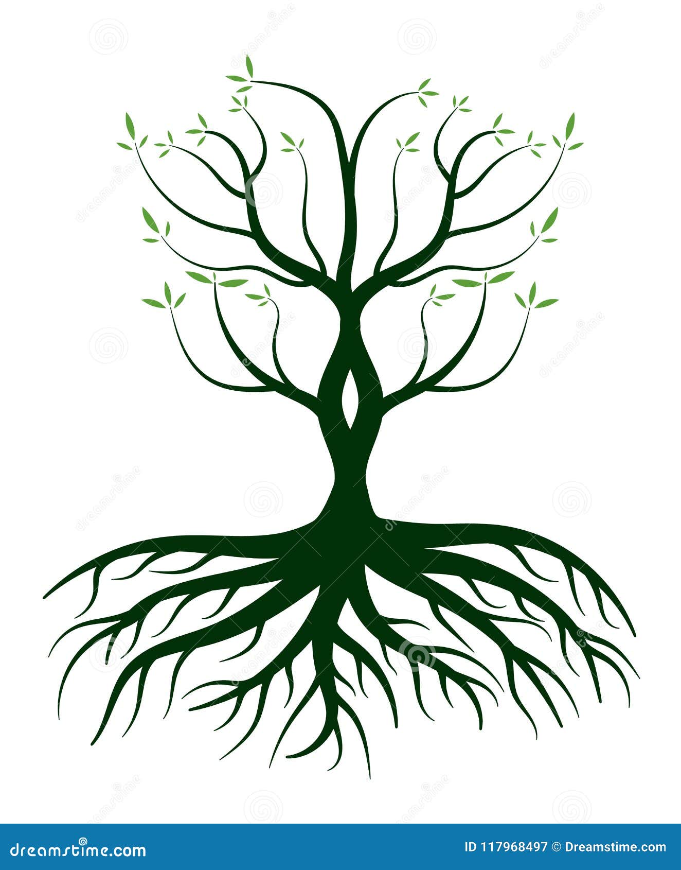 Logo Des Racines Des Arbres