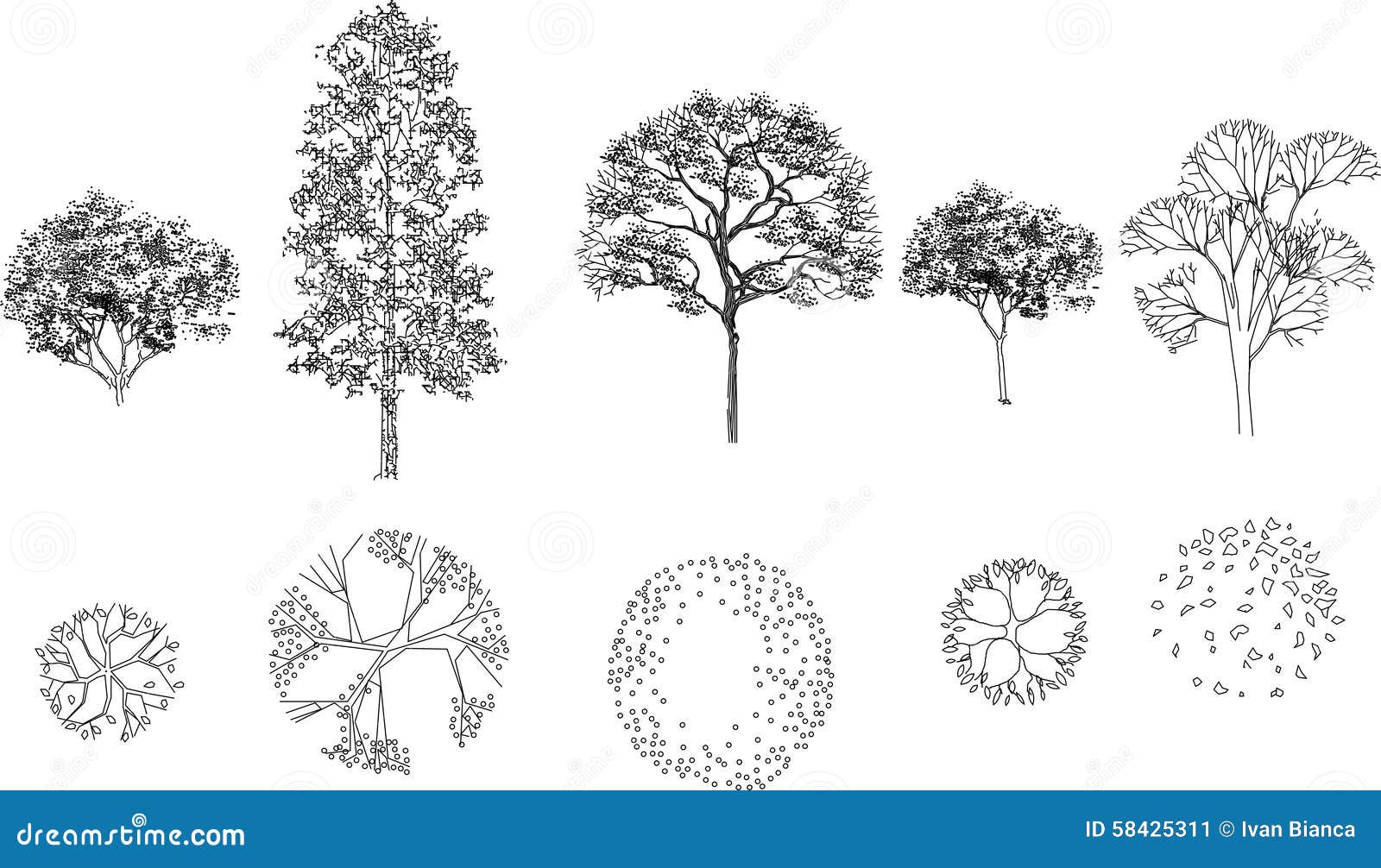 Arbres illustration de vecteur. Illustration du retrait - 58425311