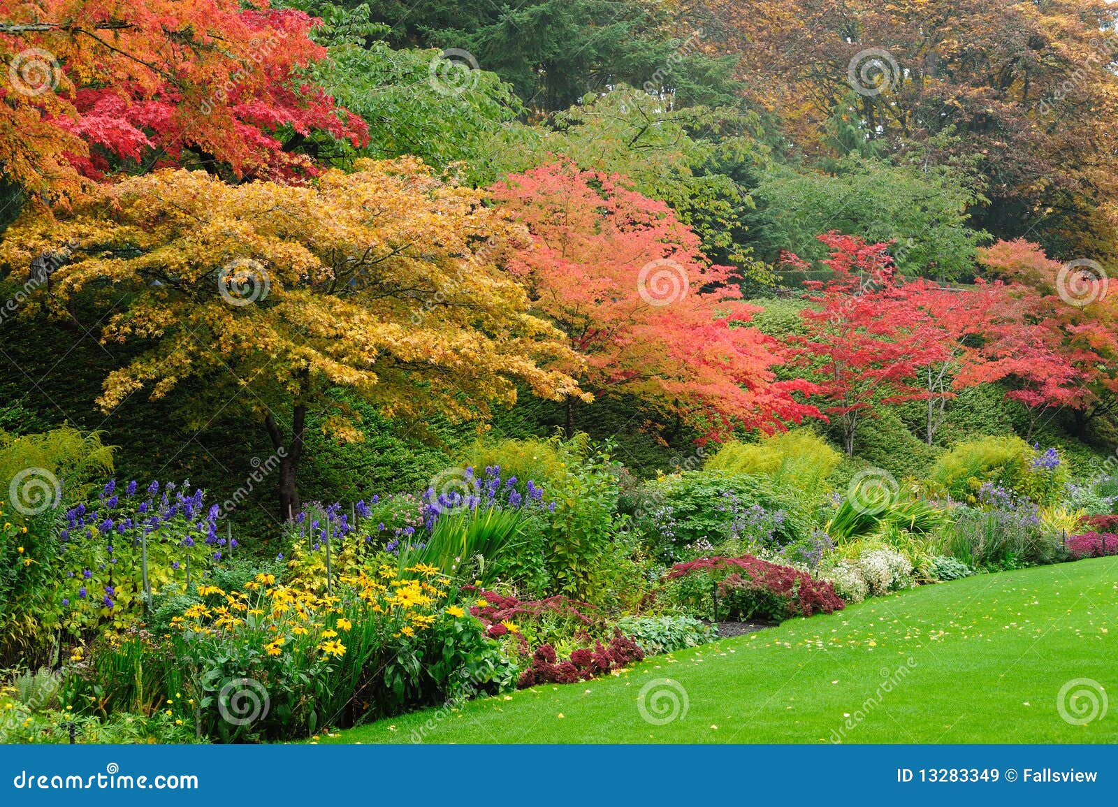Arbres D'automne Dans Le Jardin Image stock - Image du victoria, jardin ...