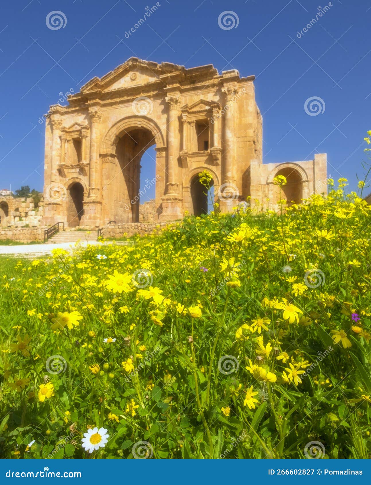 Arc De Triomphe Adriana Arch Jerash Jordan in a Spring Stock Image ...