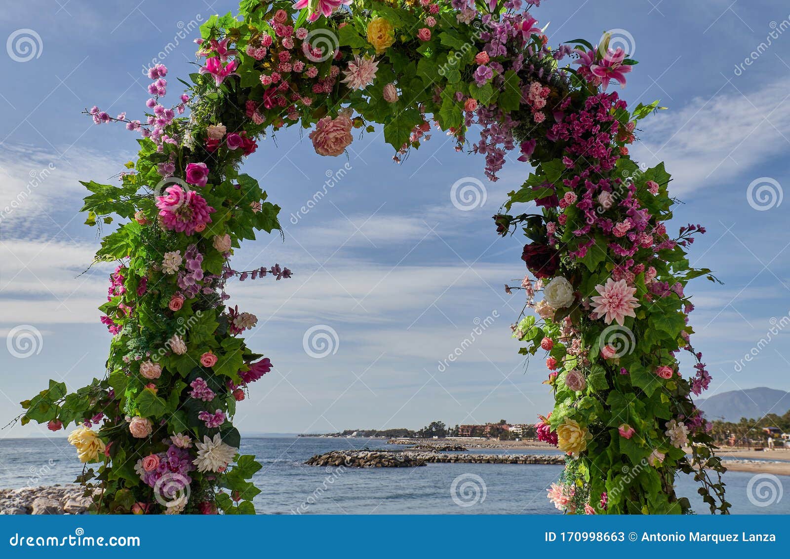 Arc Flower at the Beach in a Sunny Day with Blue Sky Stock Image ...