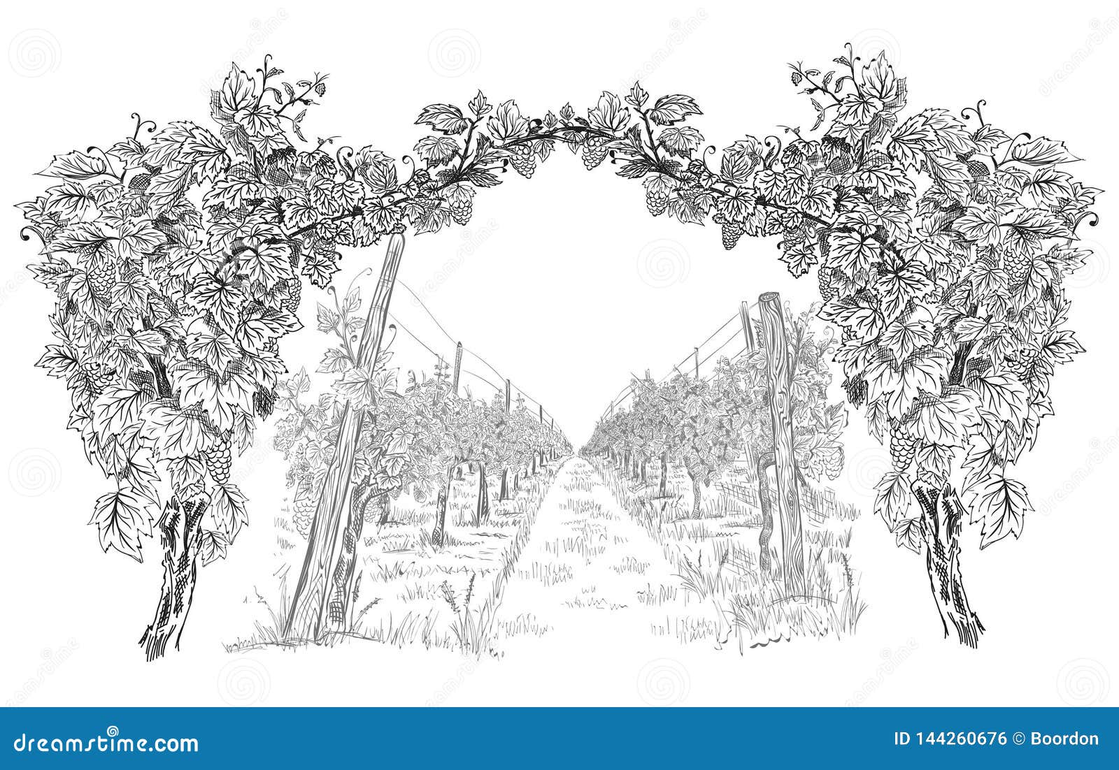 Arc from of Grapevine with Landscape of Vineyard Background. Hand Drawn ...