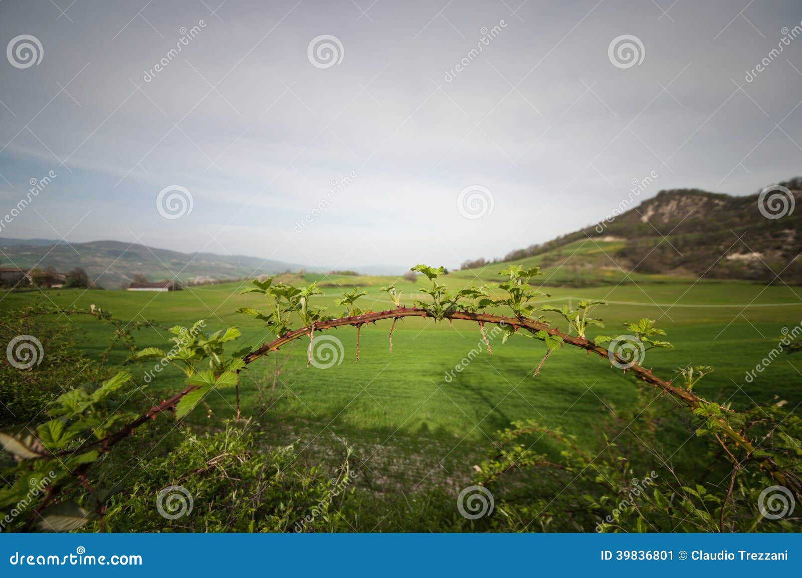Arc stock image. Image of meadow, vegetation, green, landscape - 39836801