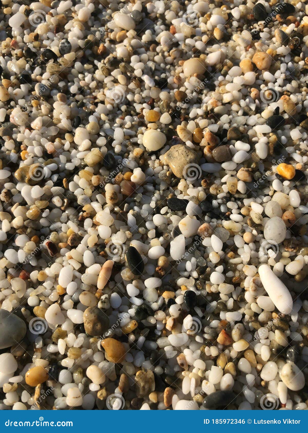 Arc of Shells, Beach Color Pebble. Red Sea Stock Photo - Image of ...