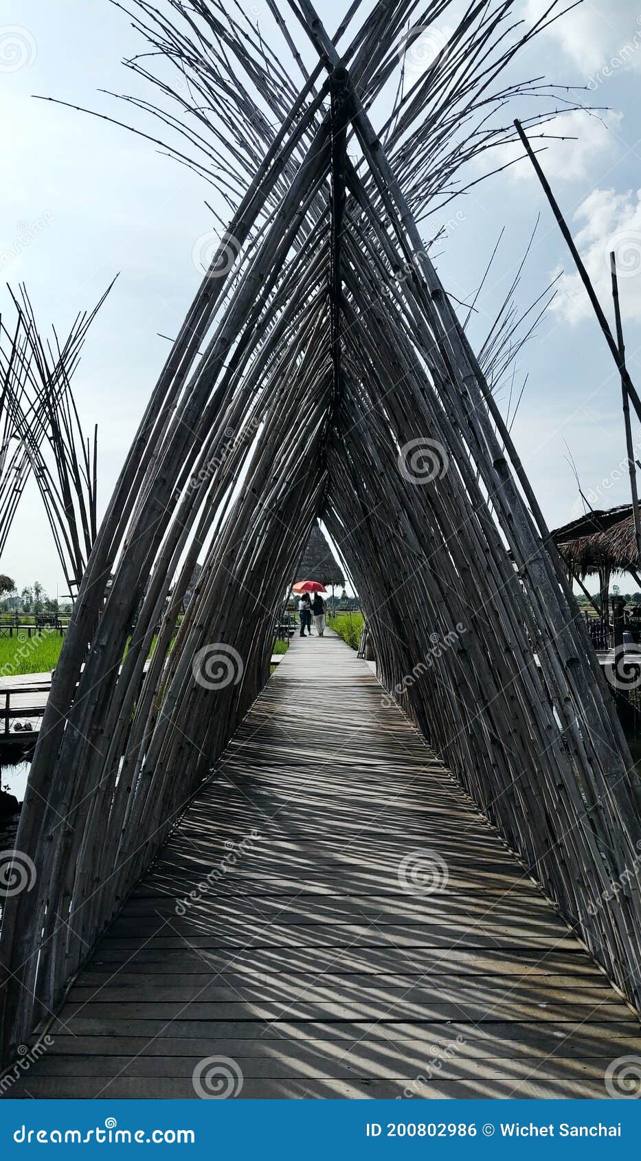 The Arch Of The Bamboo Walkway Leads To The Rice Fields. Stock ...