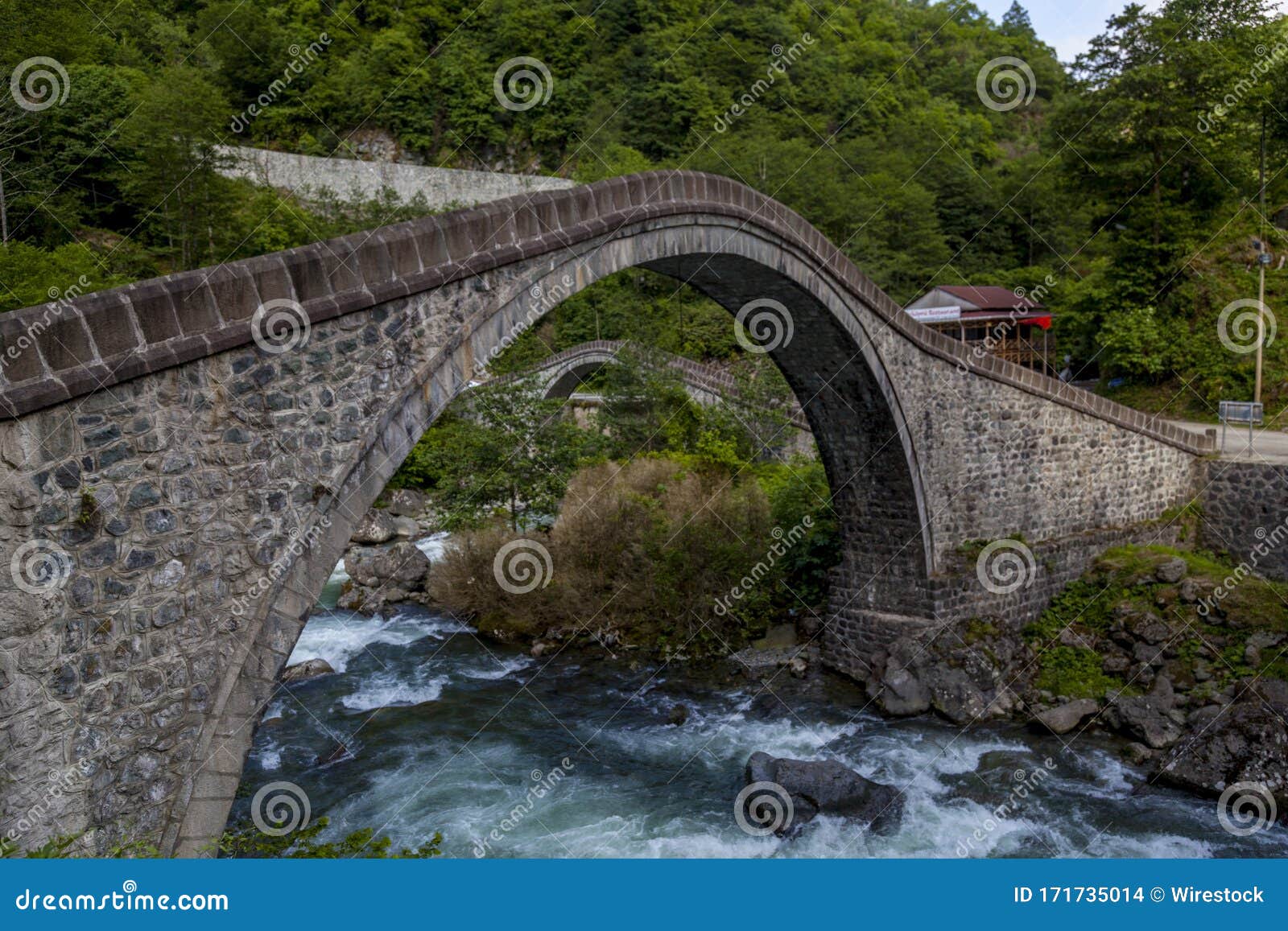 Arch Bridge Above a River Surrounded by Forests in Arhavi in Turkey ...
